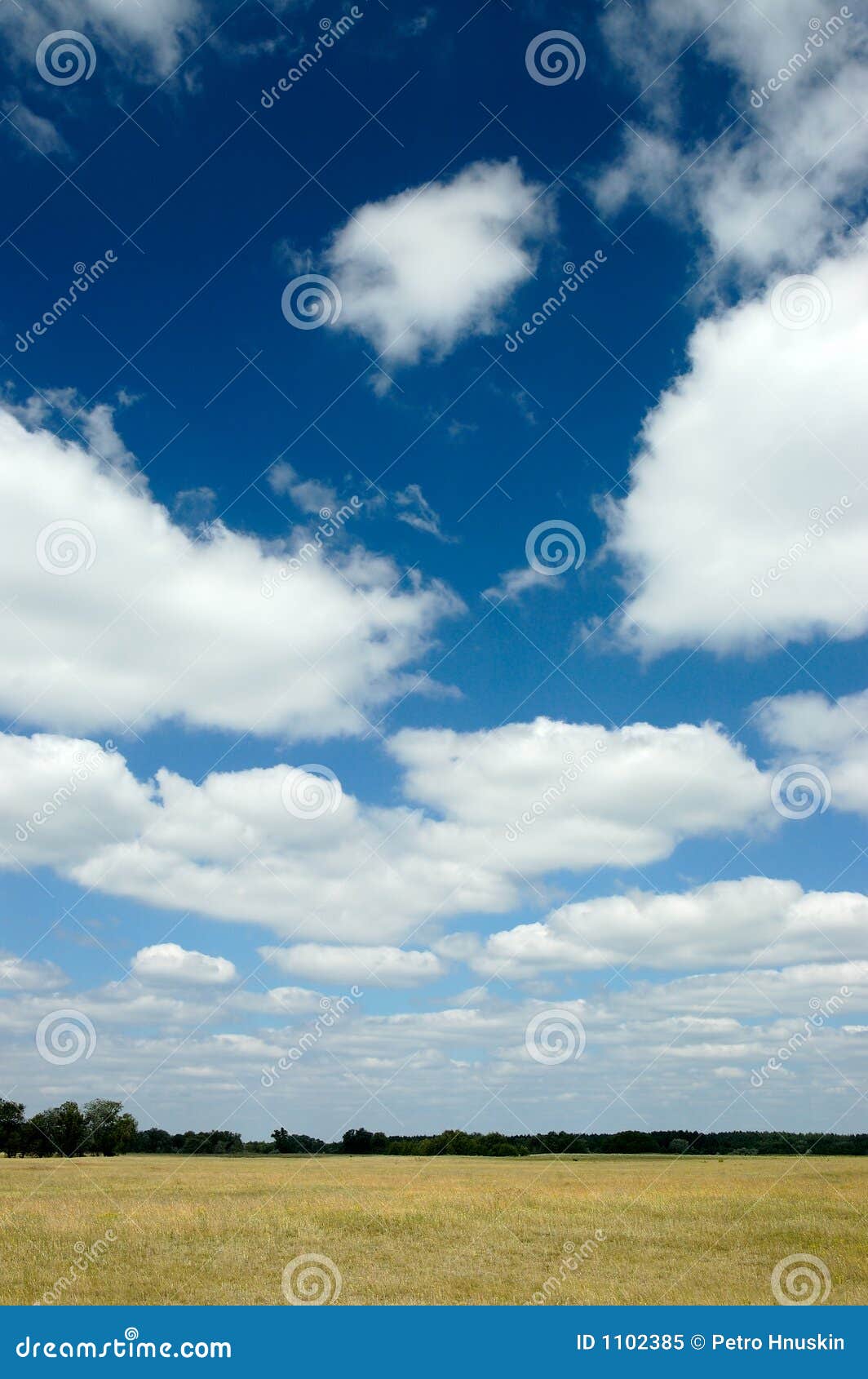 Landscape of Ukrainian Steppes Stock Image - Image of nature, landscape ...