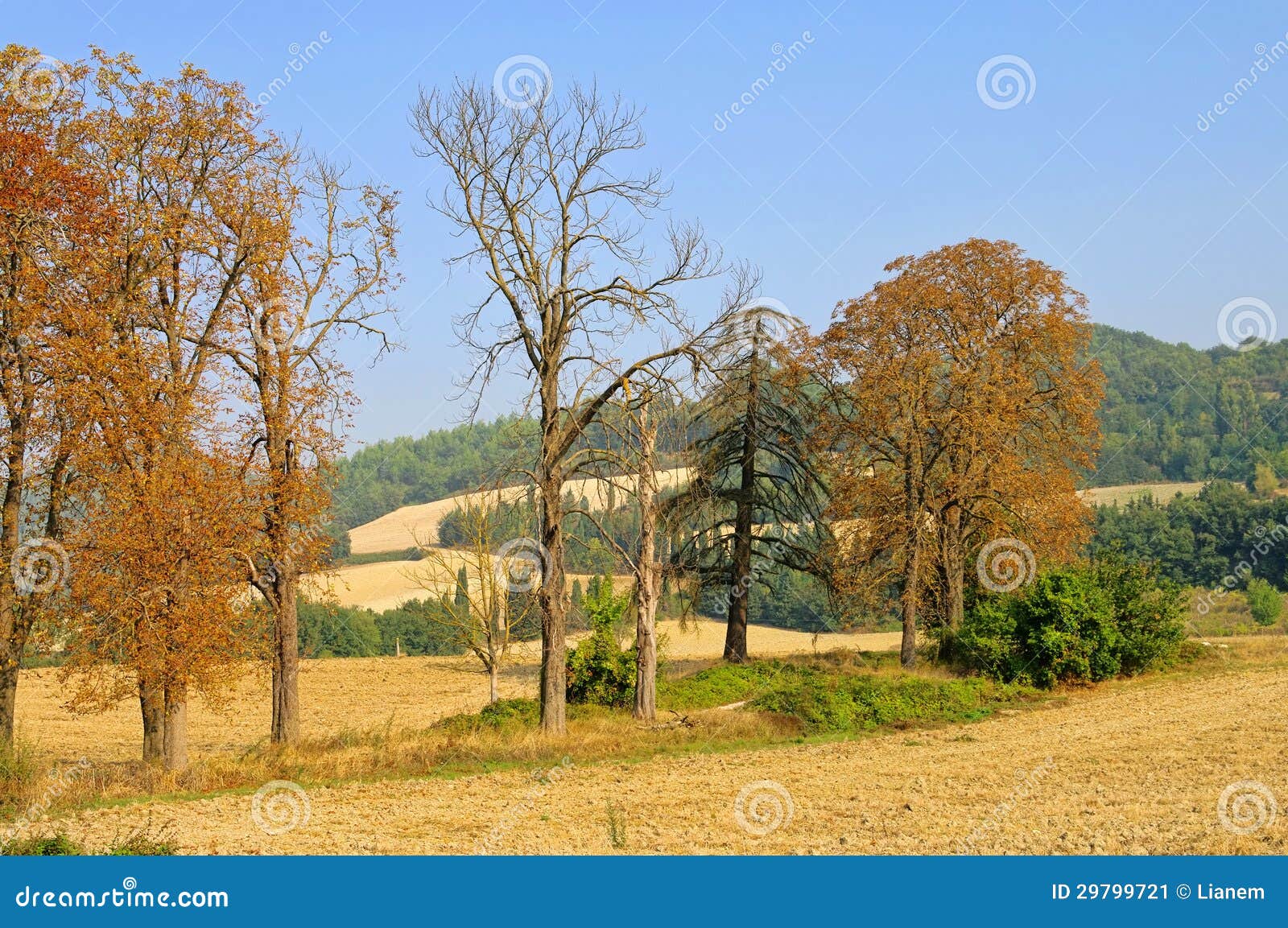 Umbria autumn stock image. Image of forest, nature, fall - 29799721