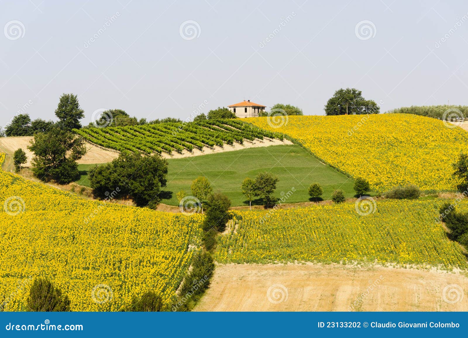 Landscape in Umbria Near Todi Stock Photo - Image of field, umbria ...
