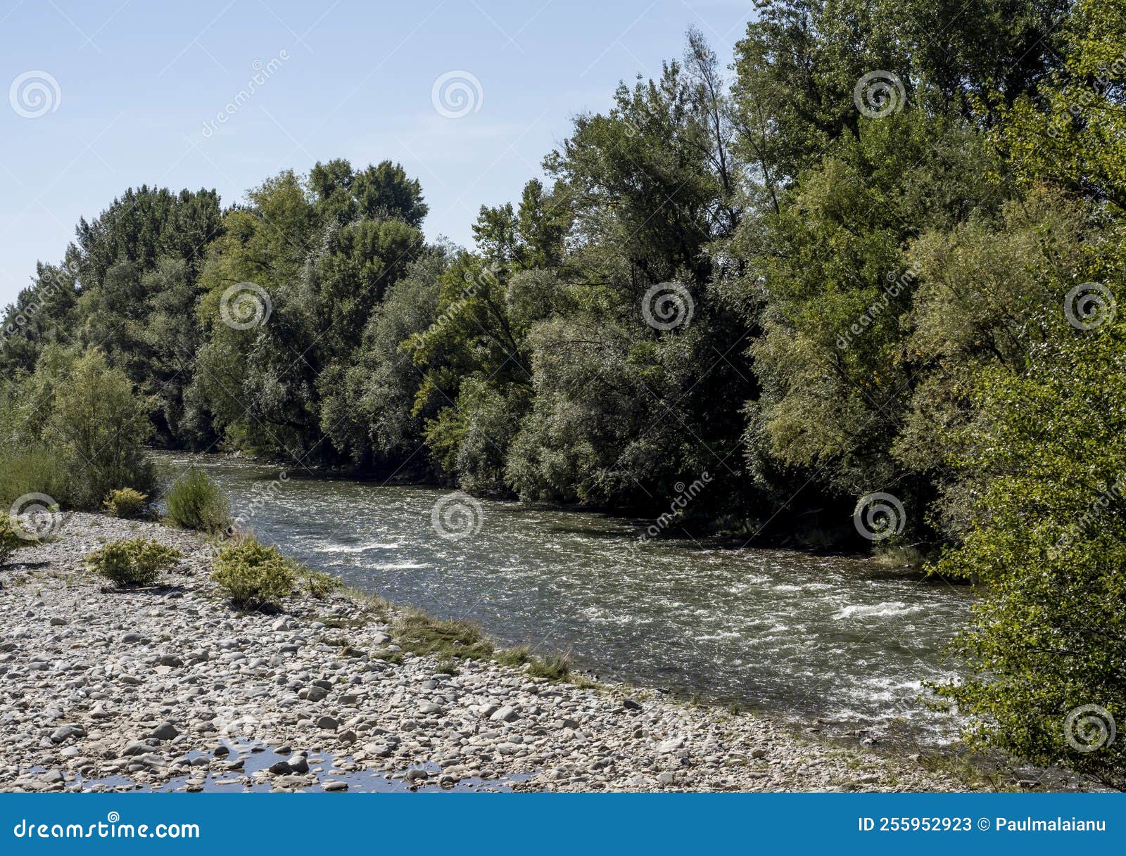 Landscape on the Upper Course of the River Jiu Stock Image - Image of ...
