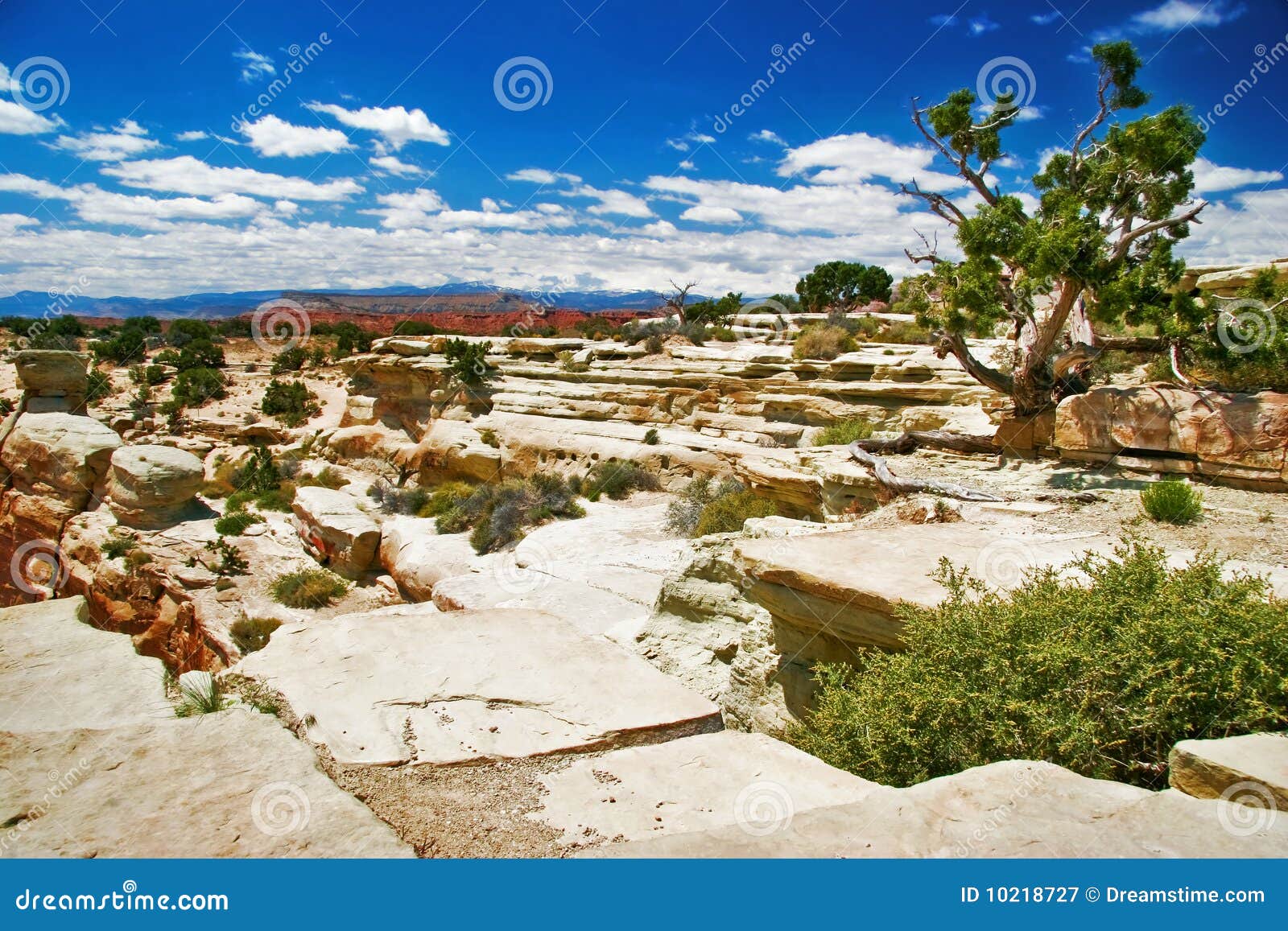 Landscape of Utah stock image. Image of environment, amphitheater ...
