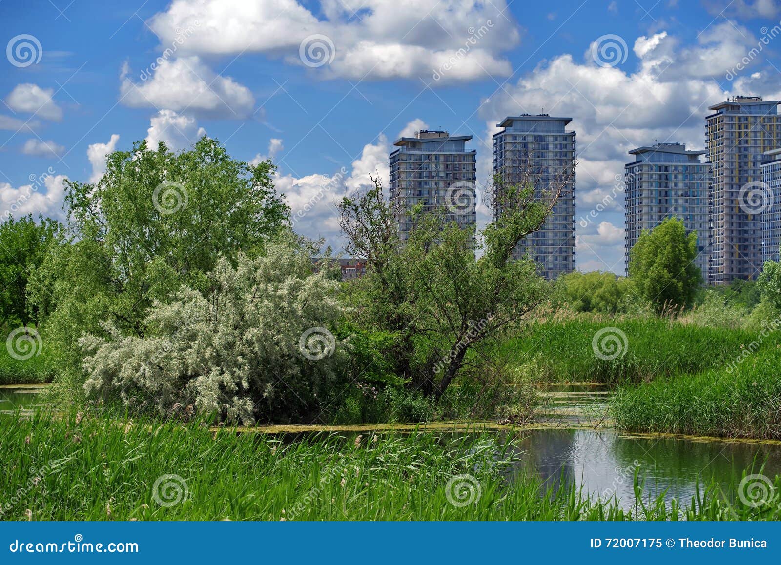 Landscape in Vacaresti Nature Park, Landmark Attraction in Bucharest ...