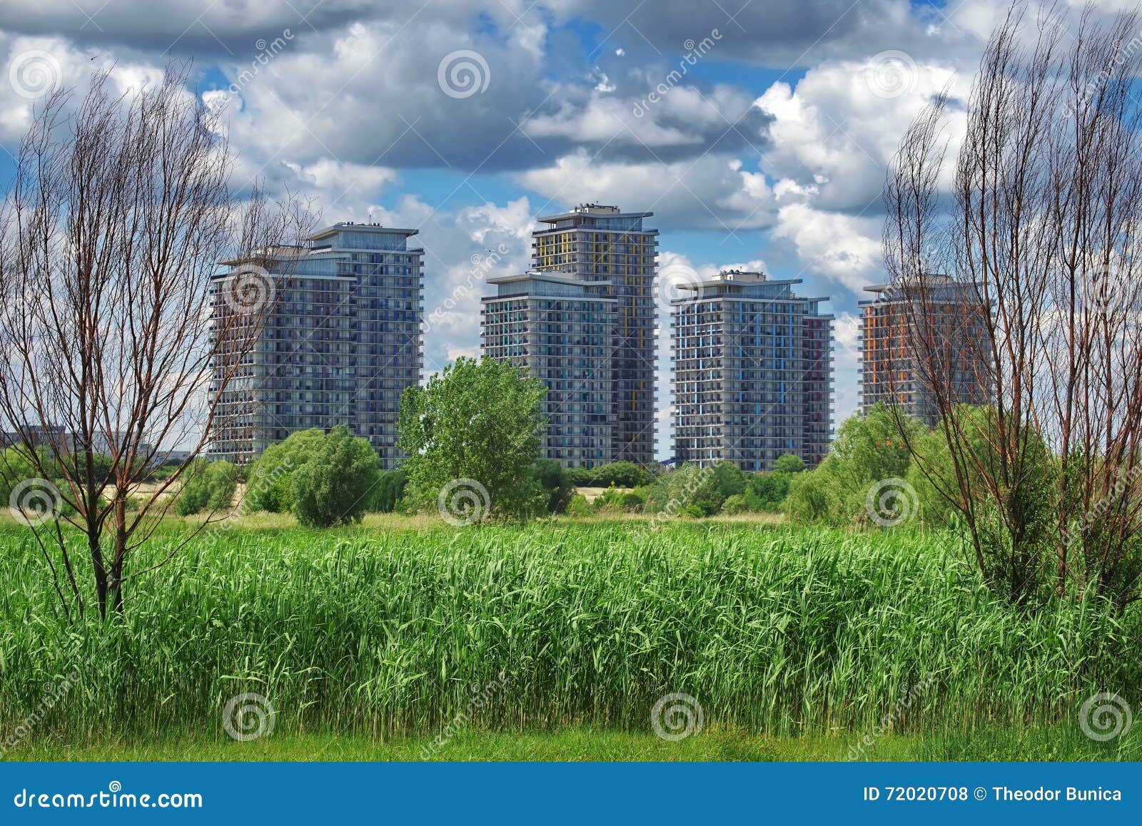 Landscape in Vacaresti Nature Park. Asmita Gardens - Bucharest, Romania ...