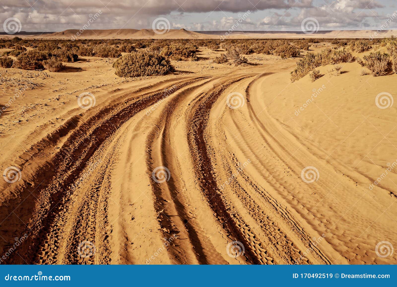 Landscape in the Valley of the River Draa Stock Image - Image of road ...