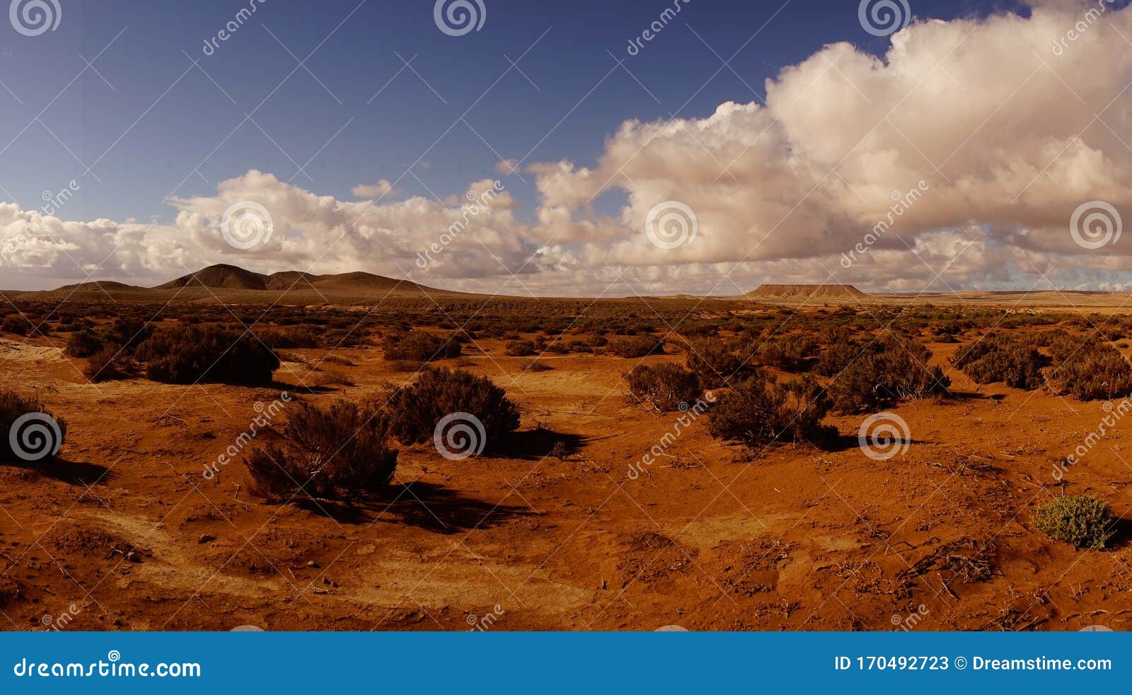 Landscape in the Valley of the River Draa Stock Image - Image of road ...
