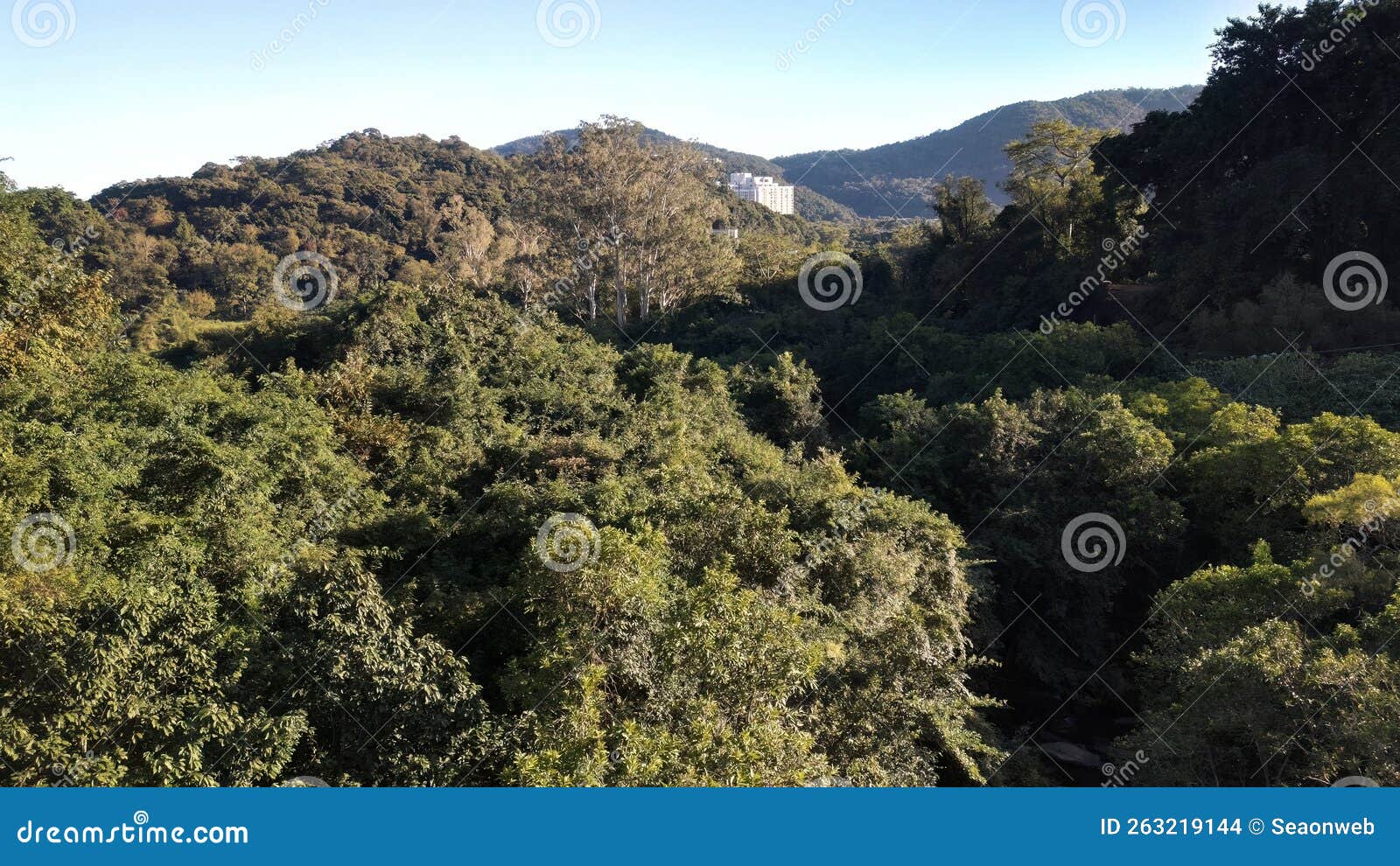 The Landscape of Vegetative, the Nature Concept Stock Photo - Image of ...
