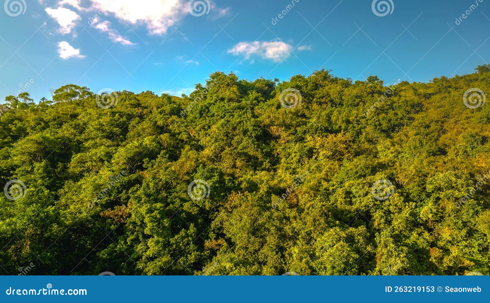 The Landscape of Vegetative, the Nature Concept Stock Image - Image of ...