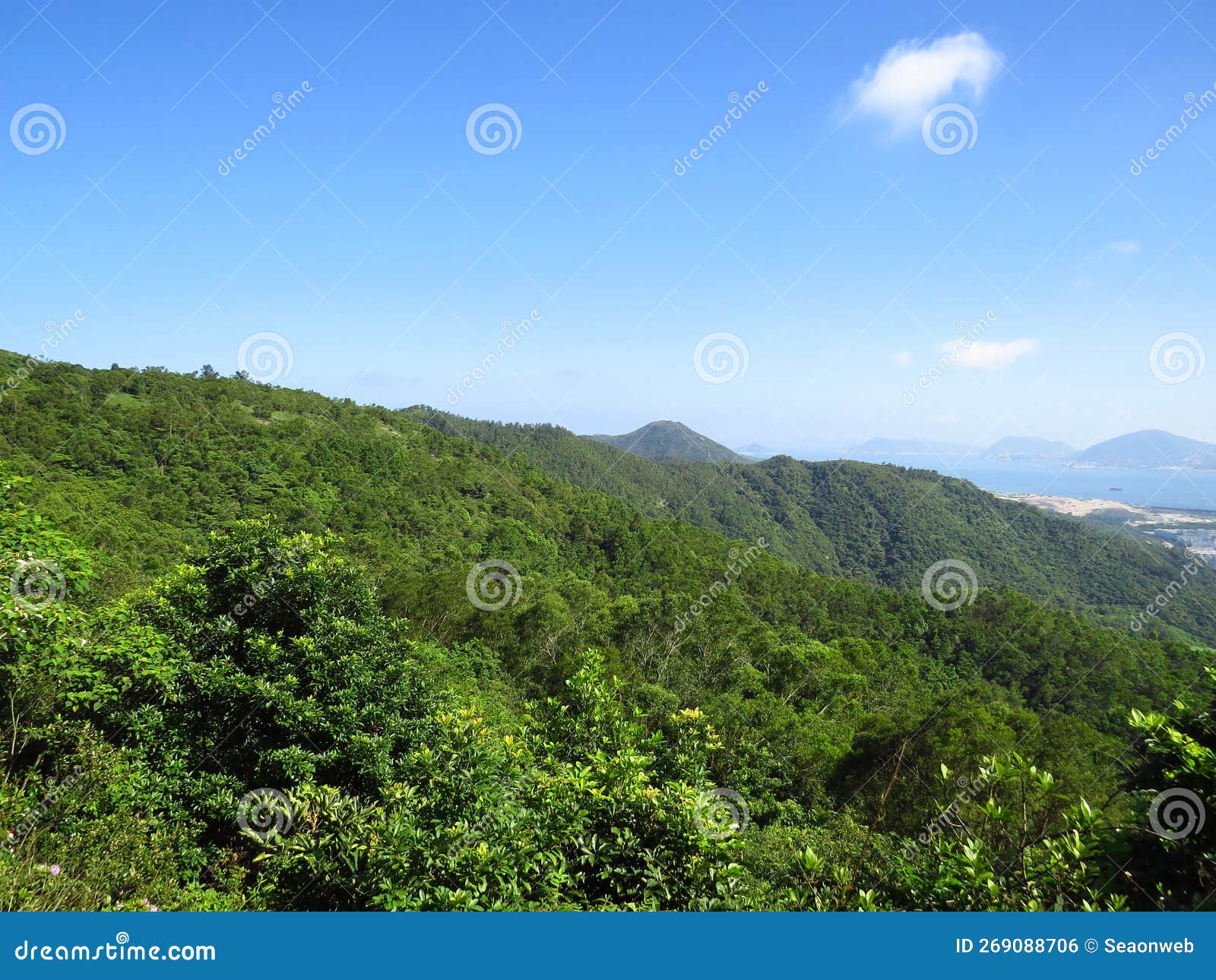 The Landscape of Vegetative, the Nature Concept Stock Photo - Image of ...