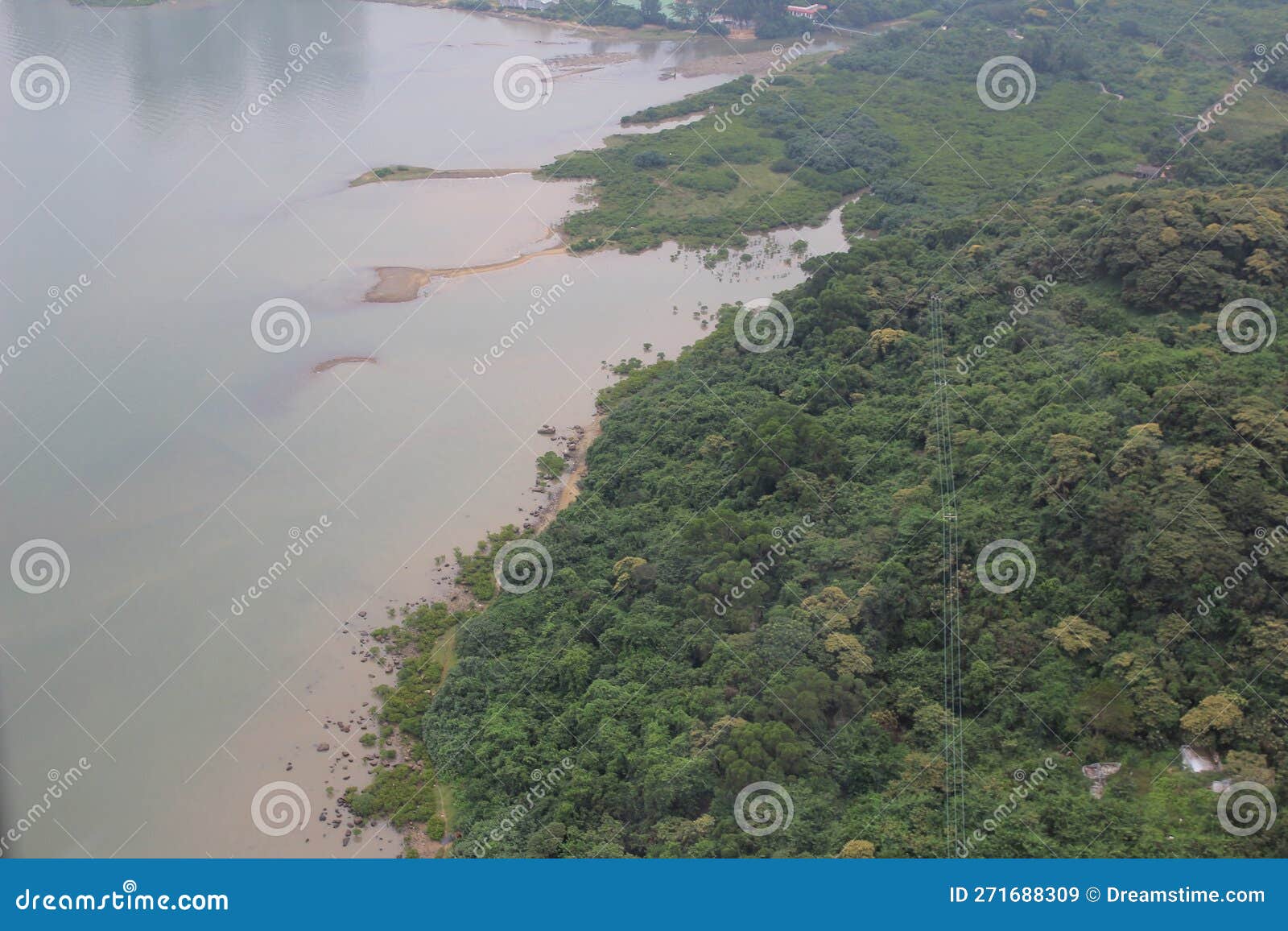 The Landscape of Vegetative, the Nature Concept Stock Image - Image of ...