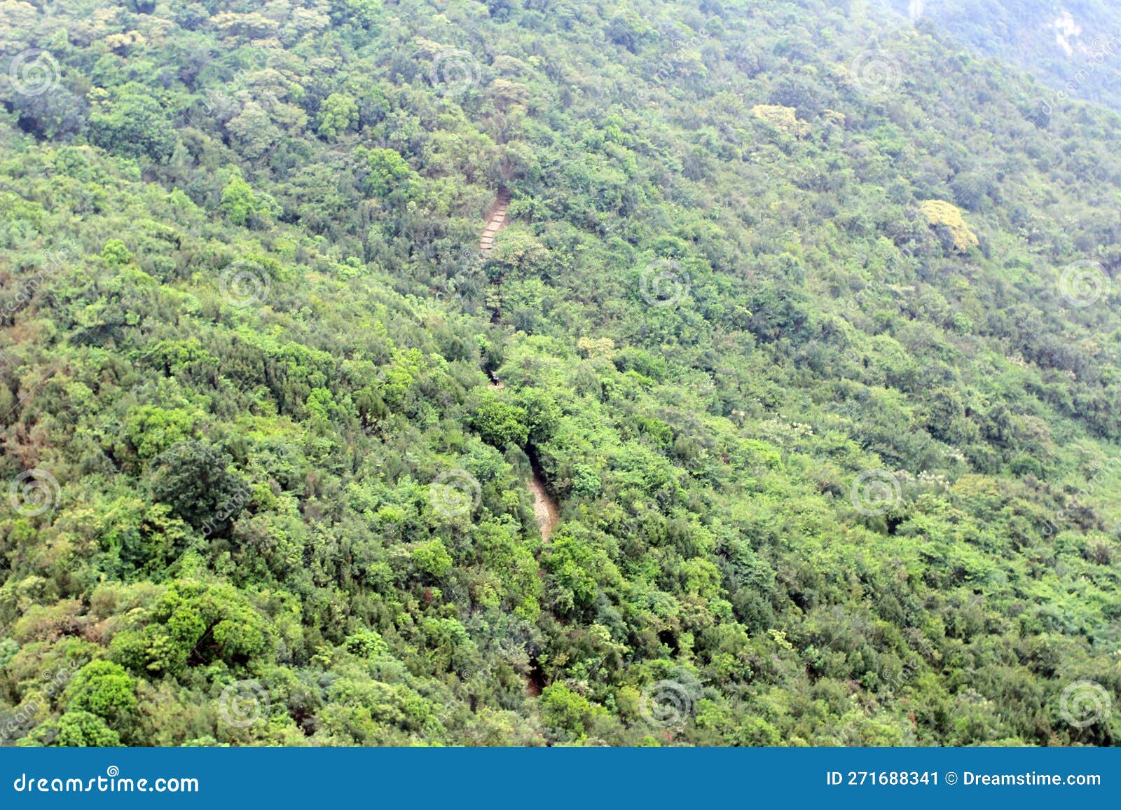 The Landscape of Vegetative, the Nature Concept Stock Image - Image of ...
