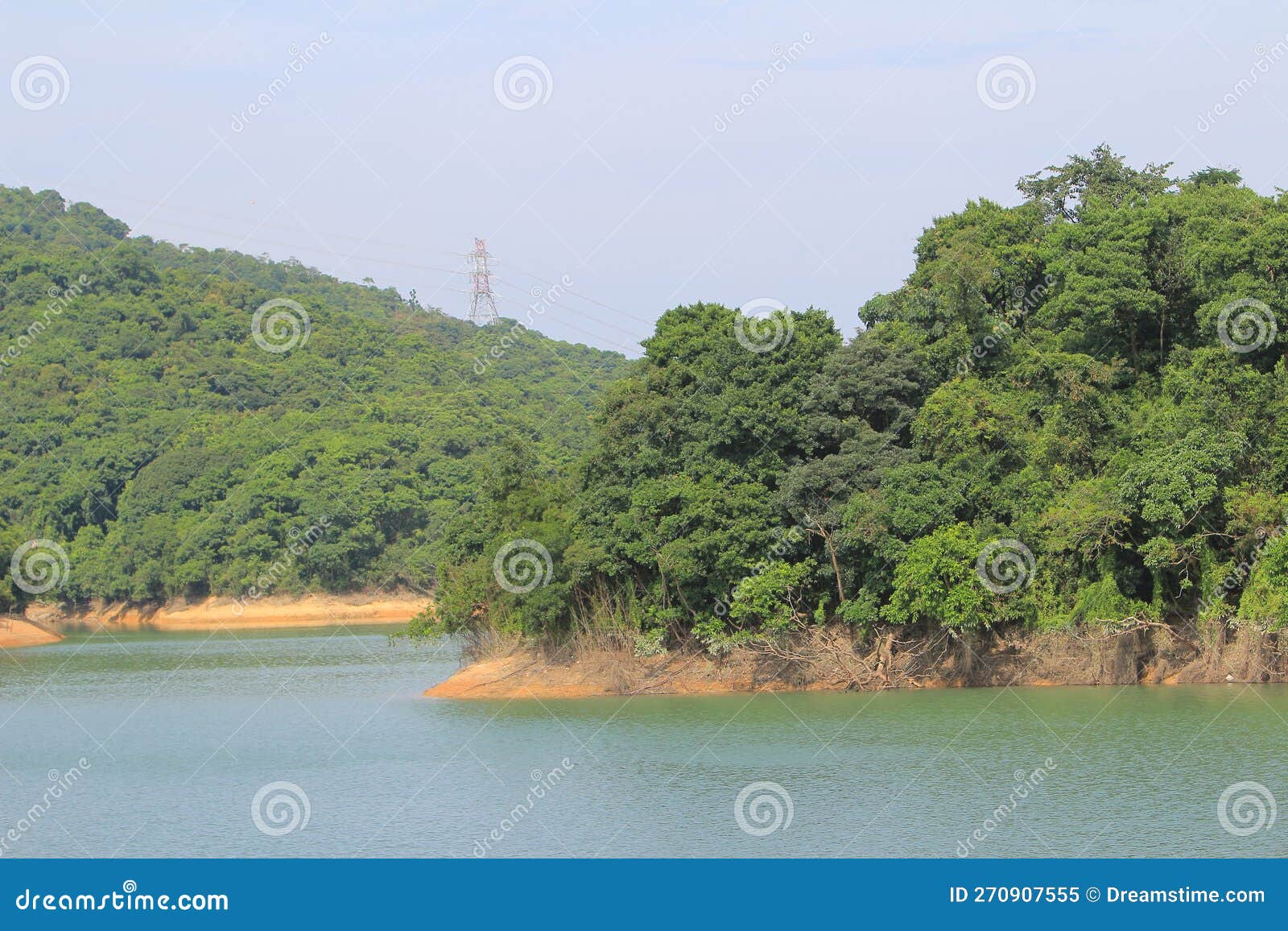 The Landscape of Vegetative, the Nature Concept Stock Image - Image of ...
