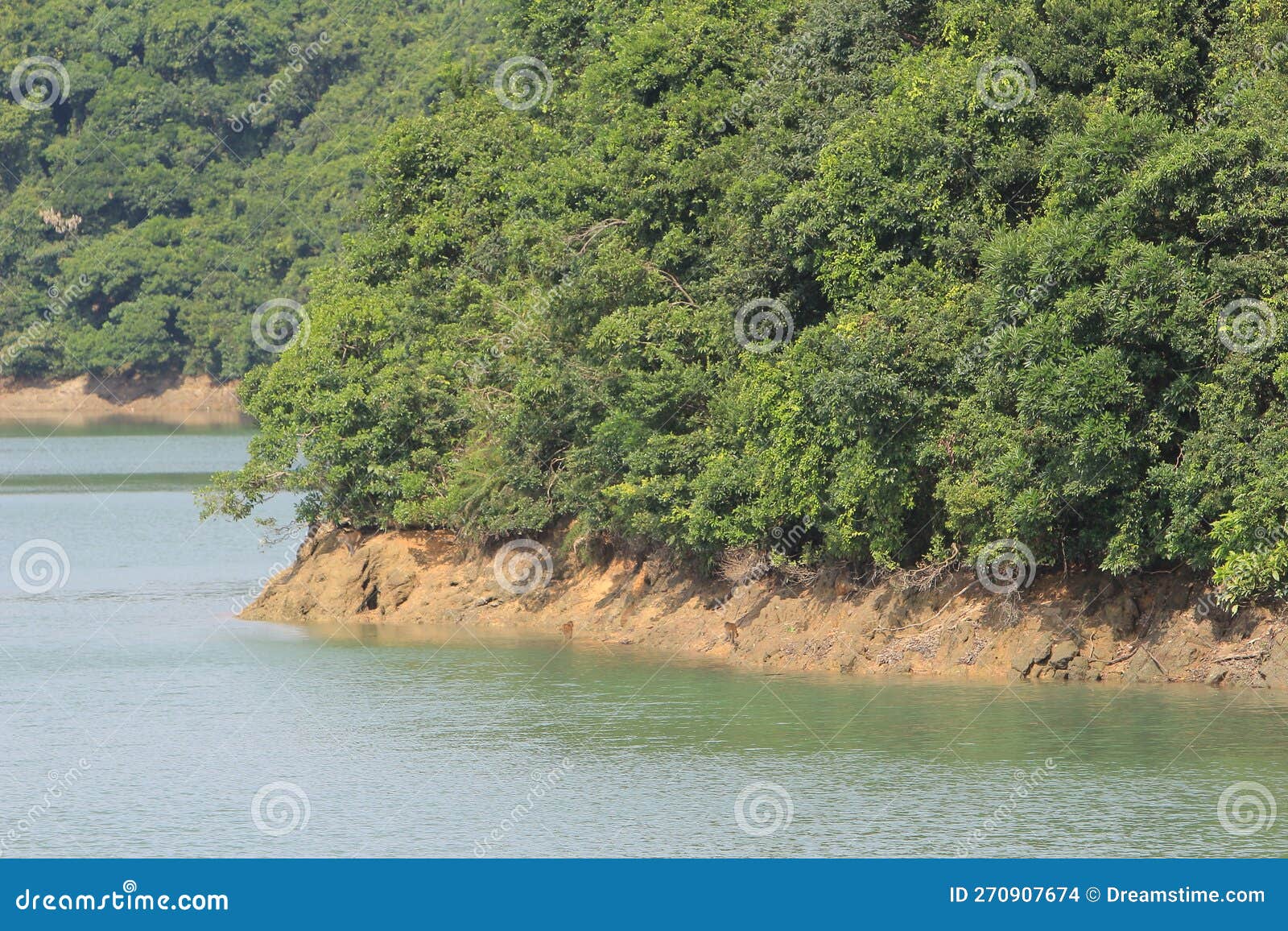 The Landscape of Vegetative, the Nature Concept Stock Photo - Image of ...