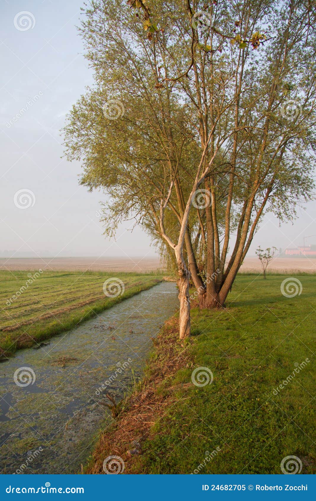 Landscape of the Veneto Plain at Dawn Stock Image - Image of bank ...