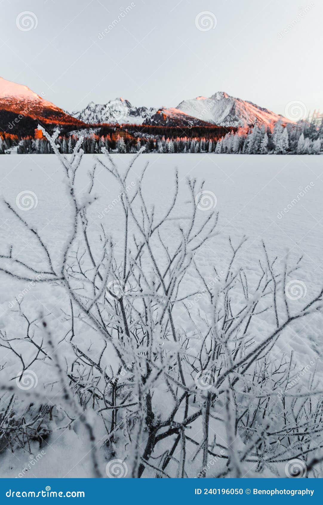 Landscape Vertical Photo Of Frozen And Snow Covered Strba Tarn Strbske