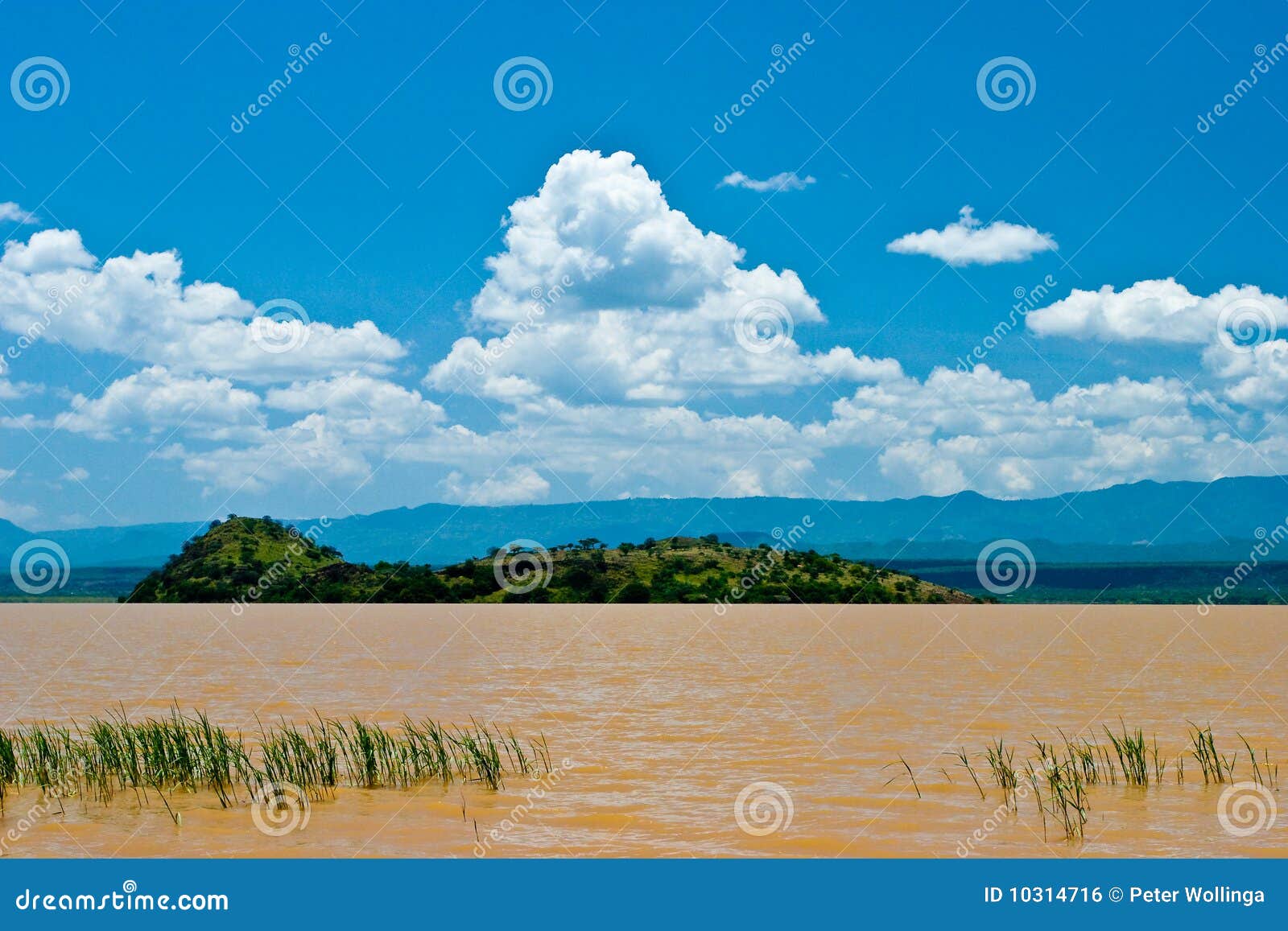 Landscape of the Victoria Lake in Kenya Stock Photo - Image of safari ...