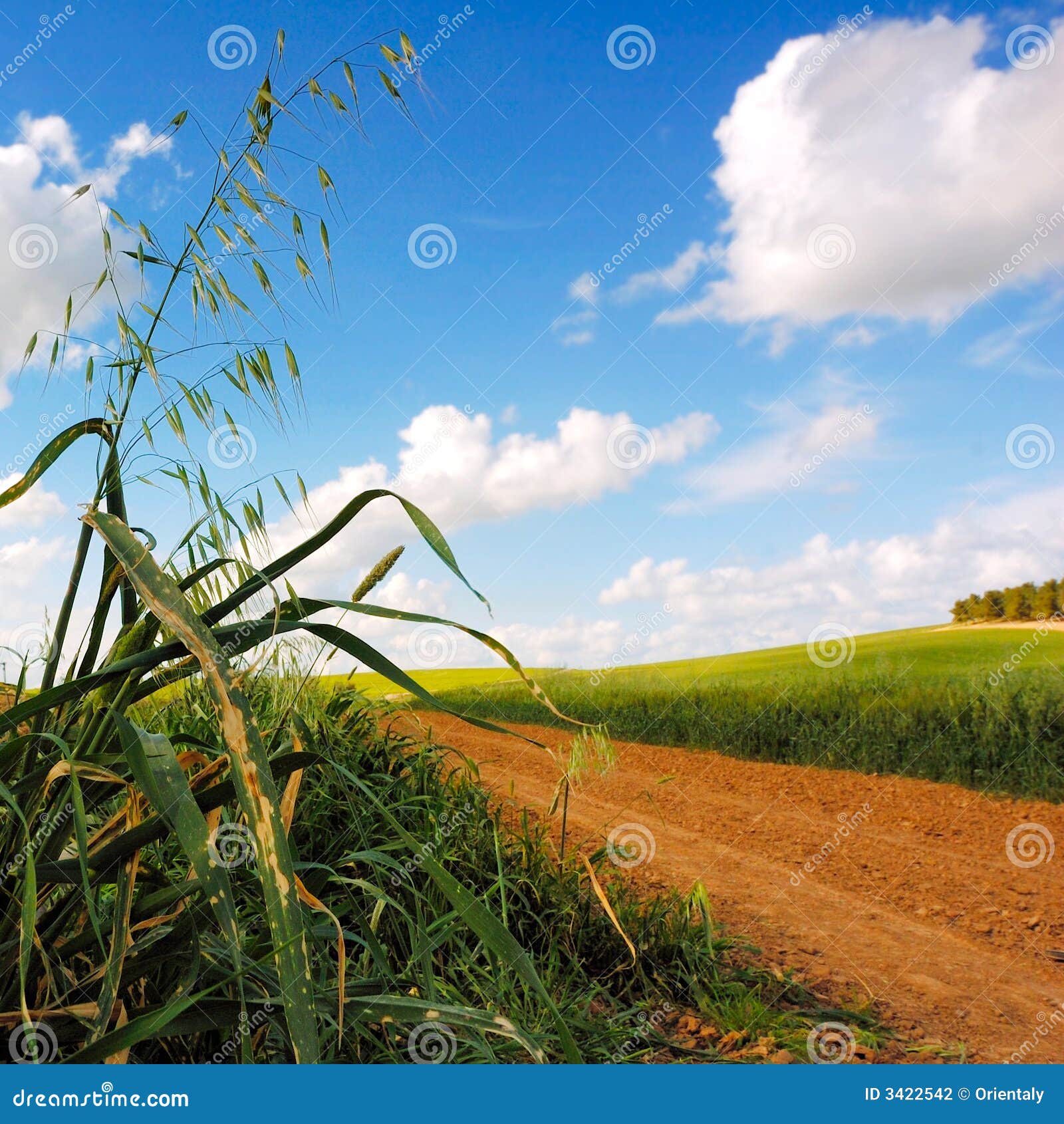 Landscape view stock photo. Image of green, lonely, heavens - 3422542