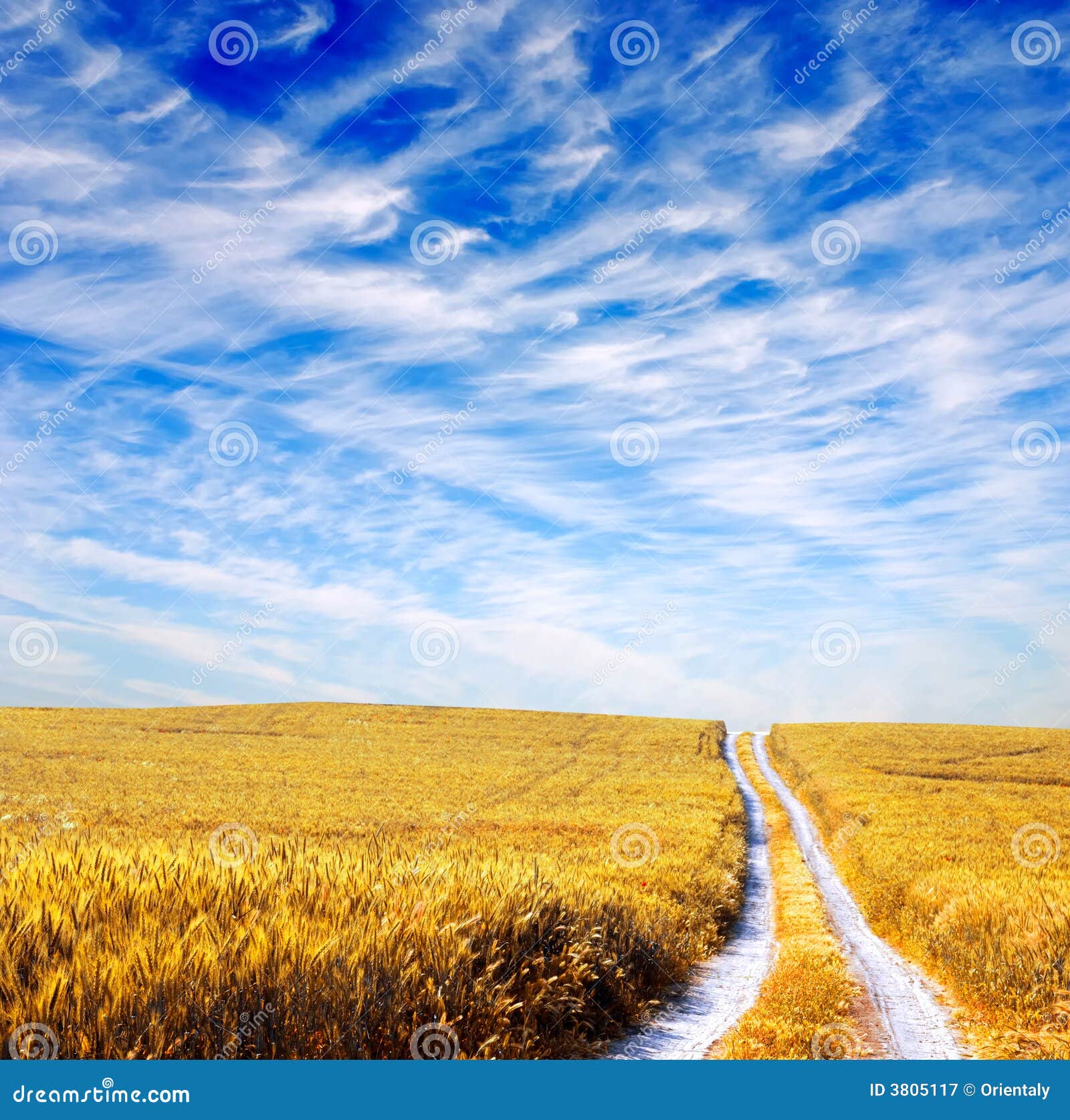 Landscape view stock image. Image of path, pasture, grass - 3805117