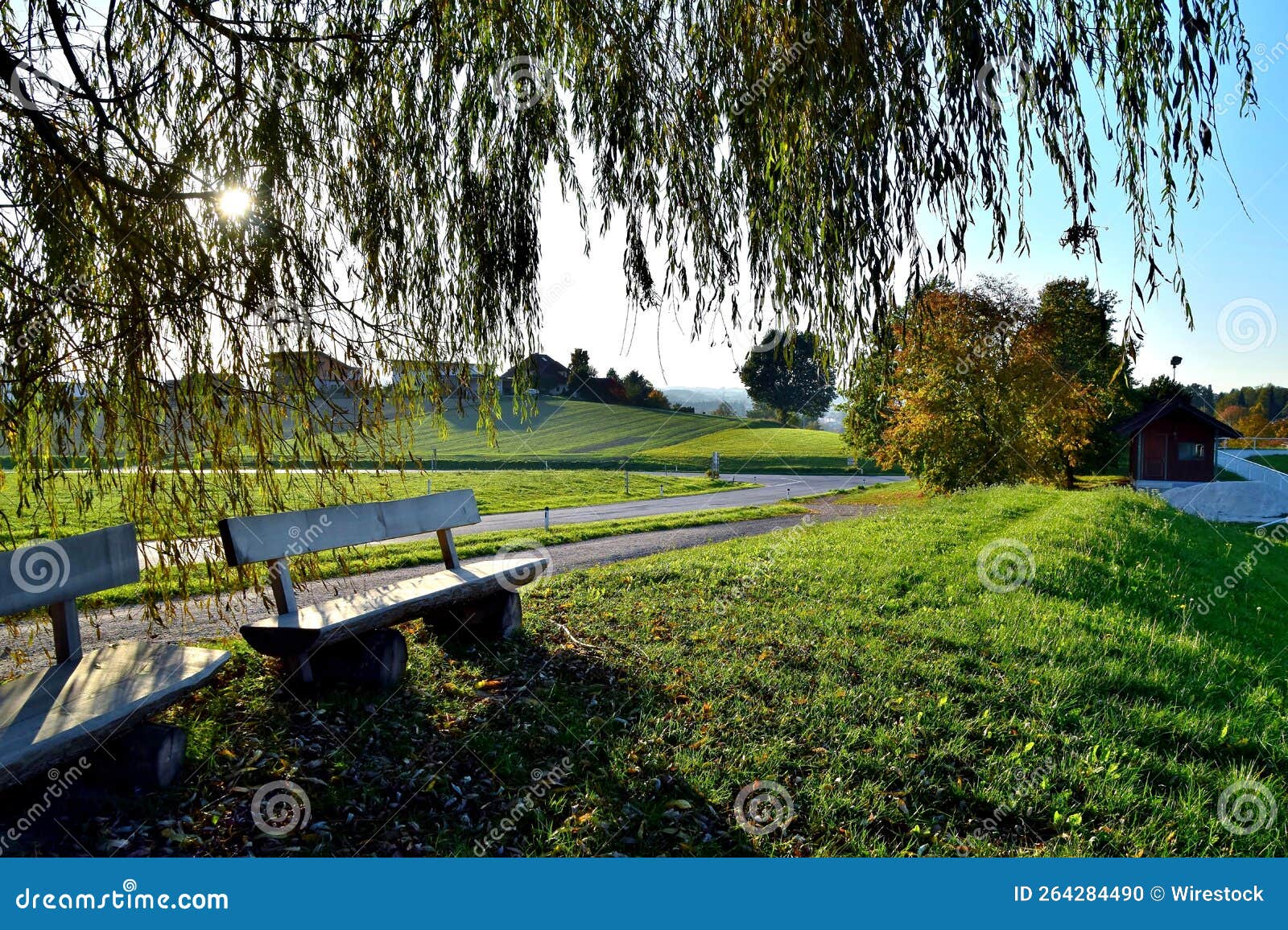 Landscape View of the Benches in the Park Stock Photo - Image of view ...