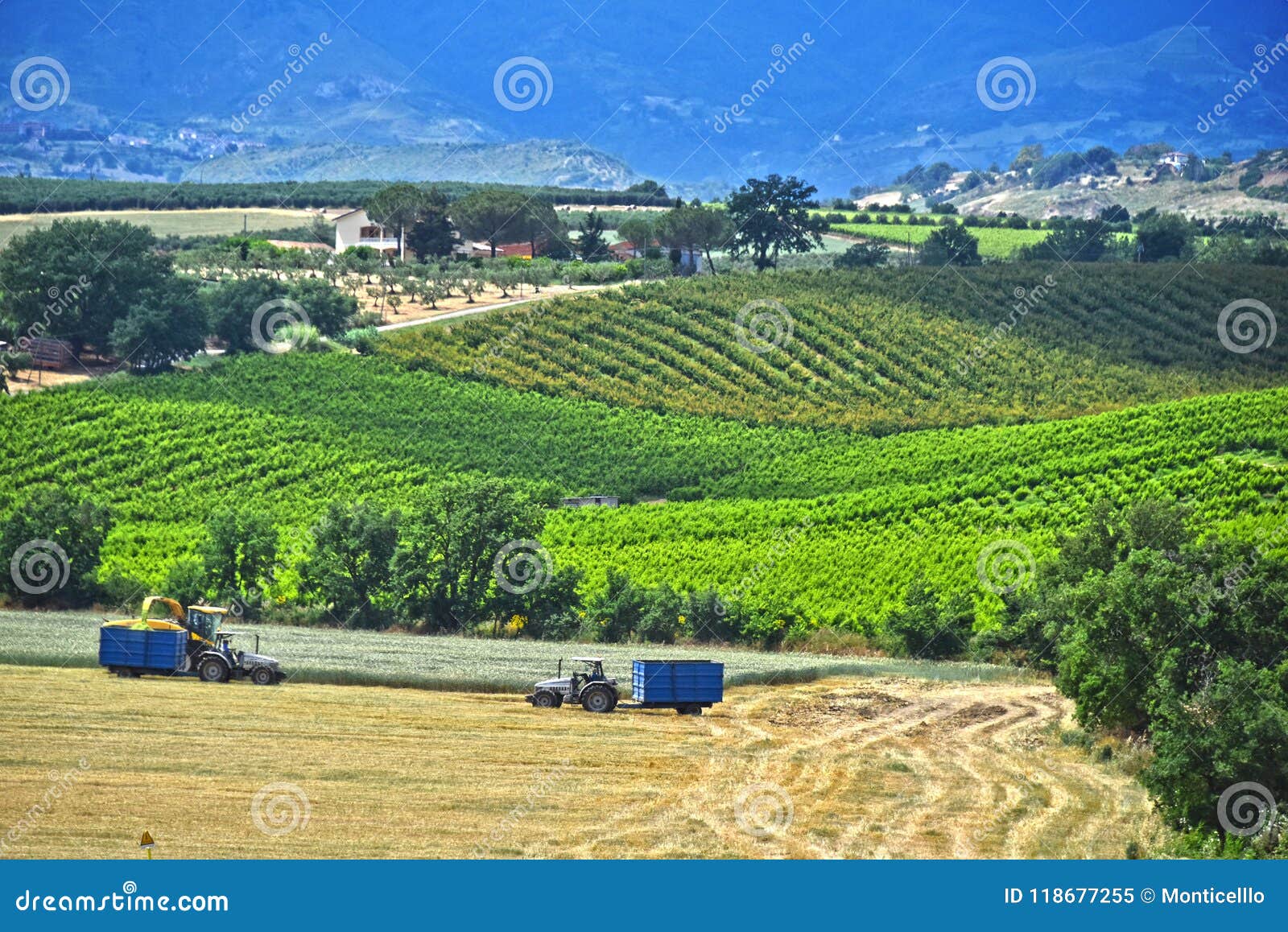 Landscape View of Calabria, Italy Stock Image - Image of field ...