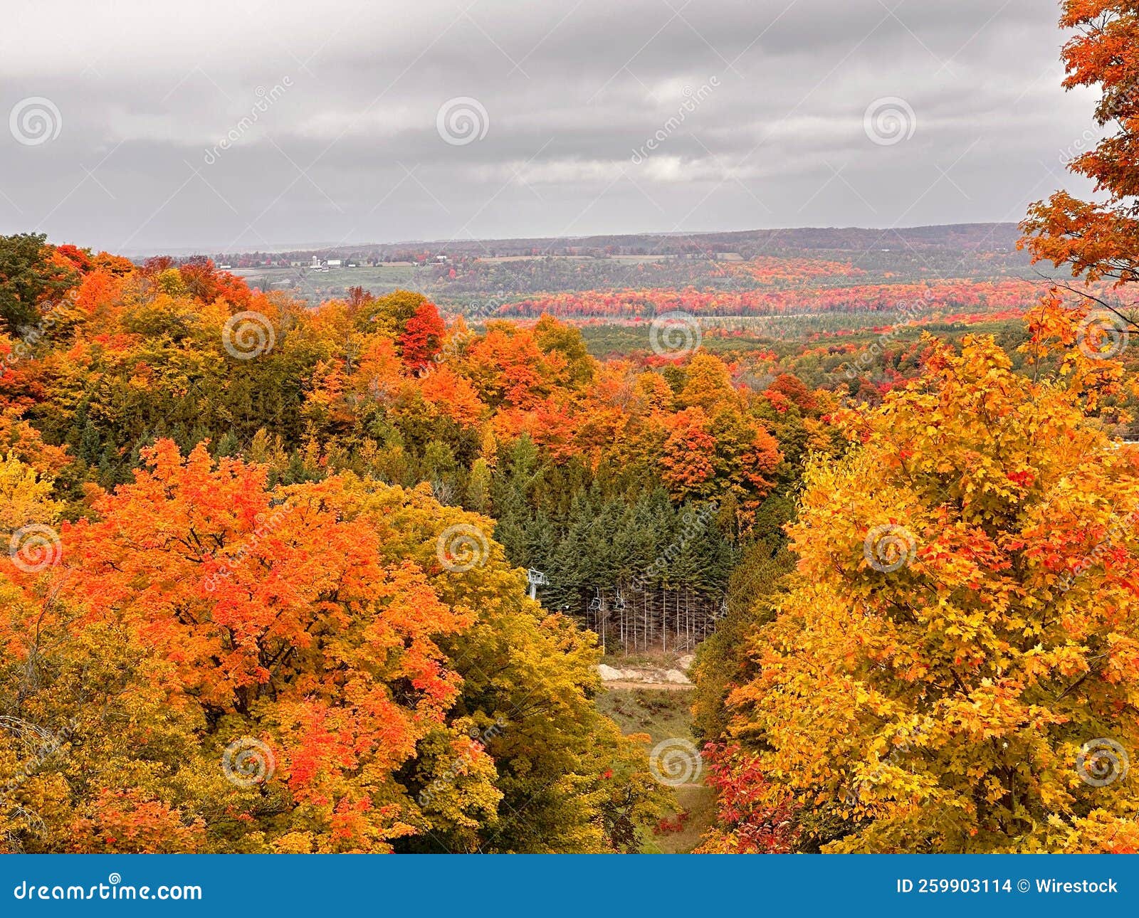 Landscape View of the Colorful Fall Trees in the Forest Under Overcast ...