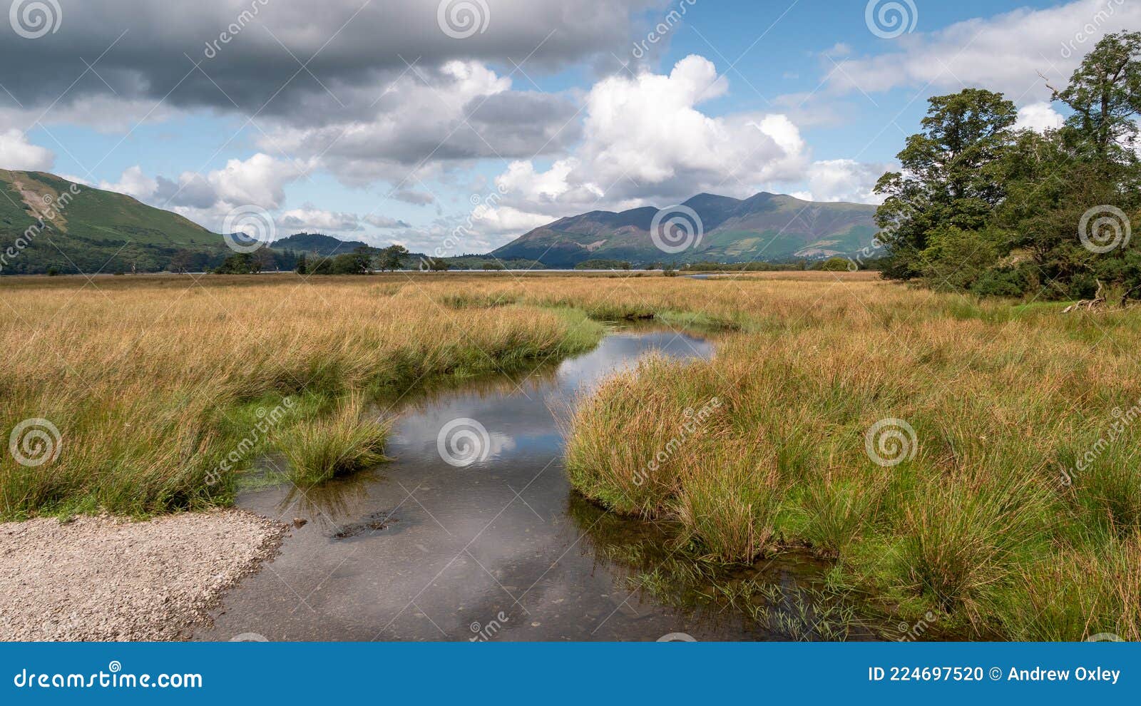 A Landscape View of Derwent Water, the Lake District, UK Stock Photo ...