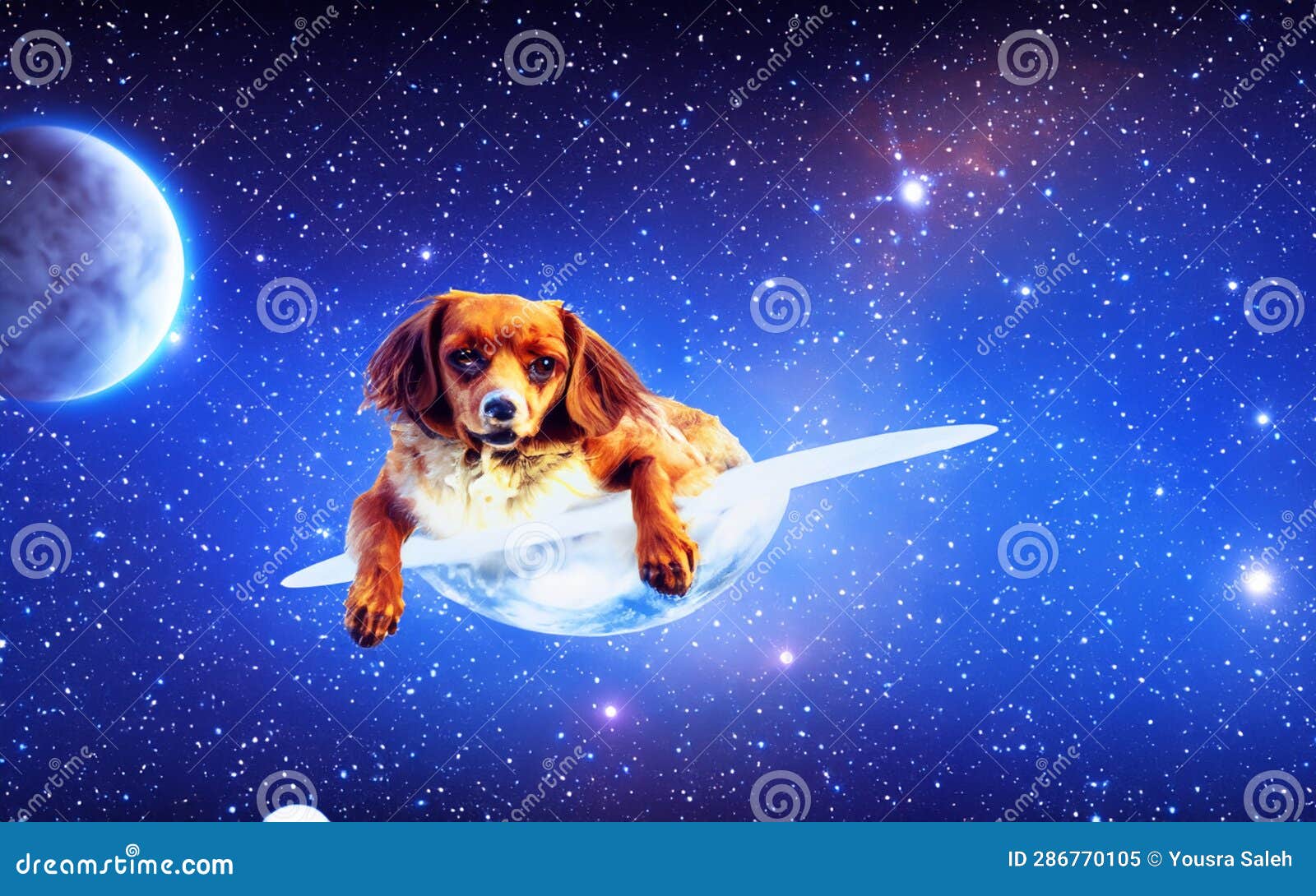 Dog Floating in Galaxy Space - AI Generated Content Stock Illustration ...