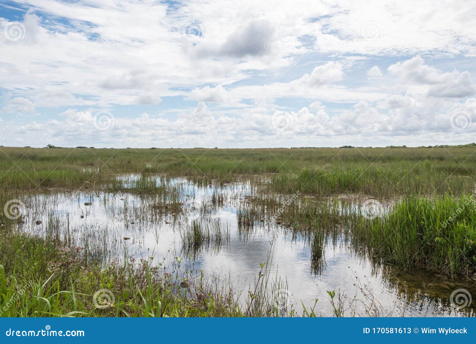 Landscape View of the Everglades National Park in Florida Stock Image ...