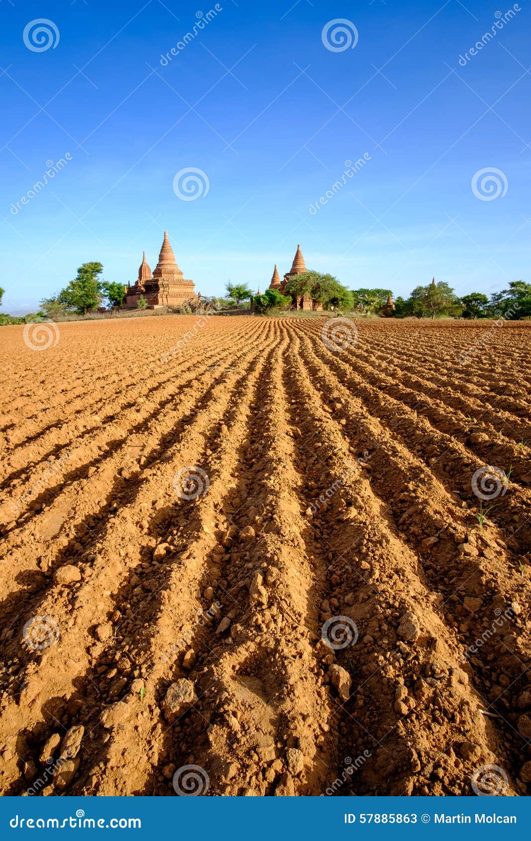 Landscape View of Field and Temples in Bagan Area, Myanmar Stock Image ...