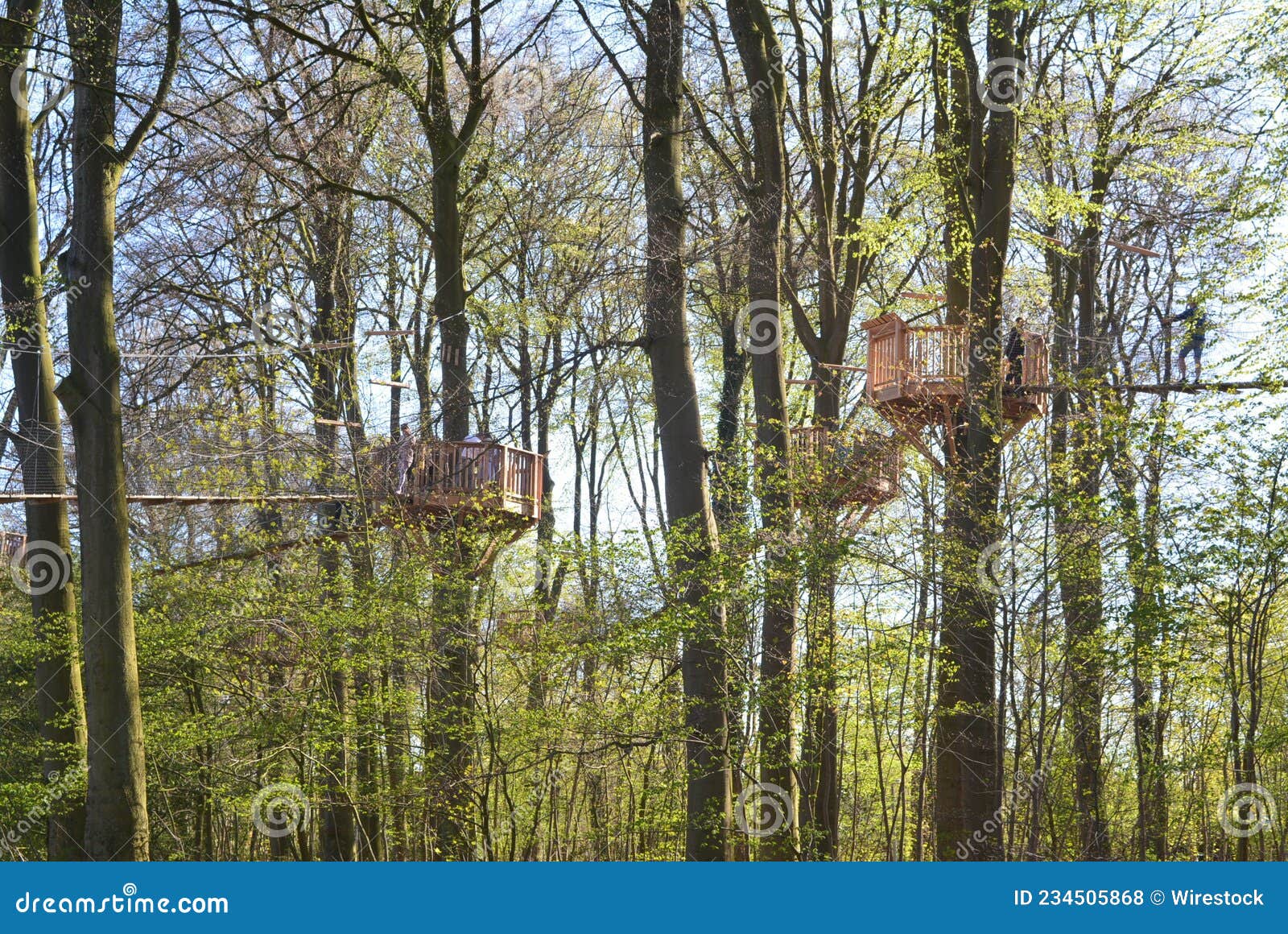 Landscape View of a Forest and Tree Huts Stock Photo - Image of season ...