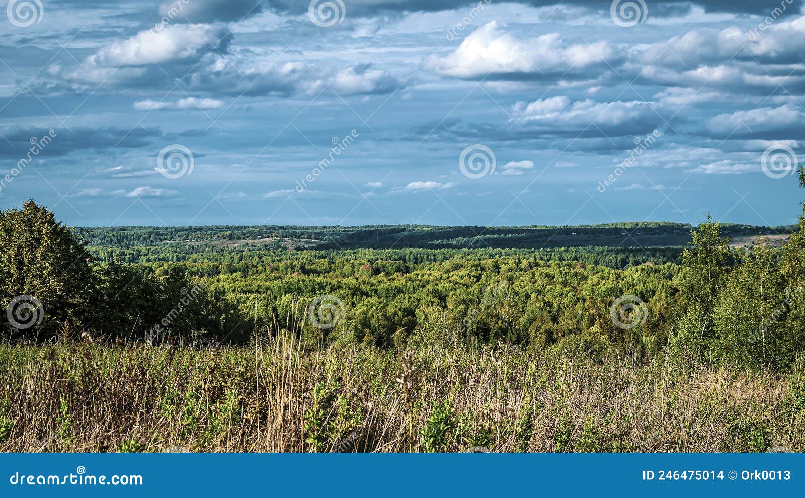 Landscape, View of the Forest Valley Stock Photo - Image of distant ...