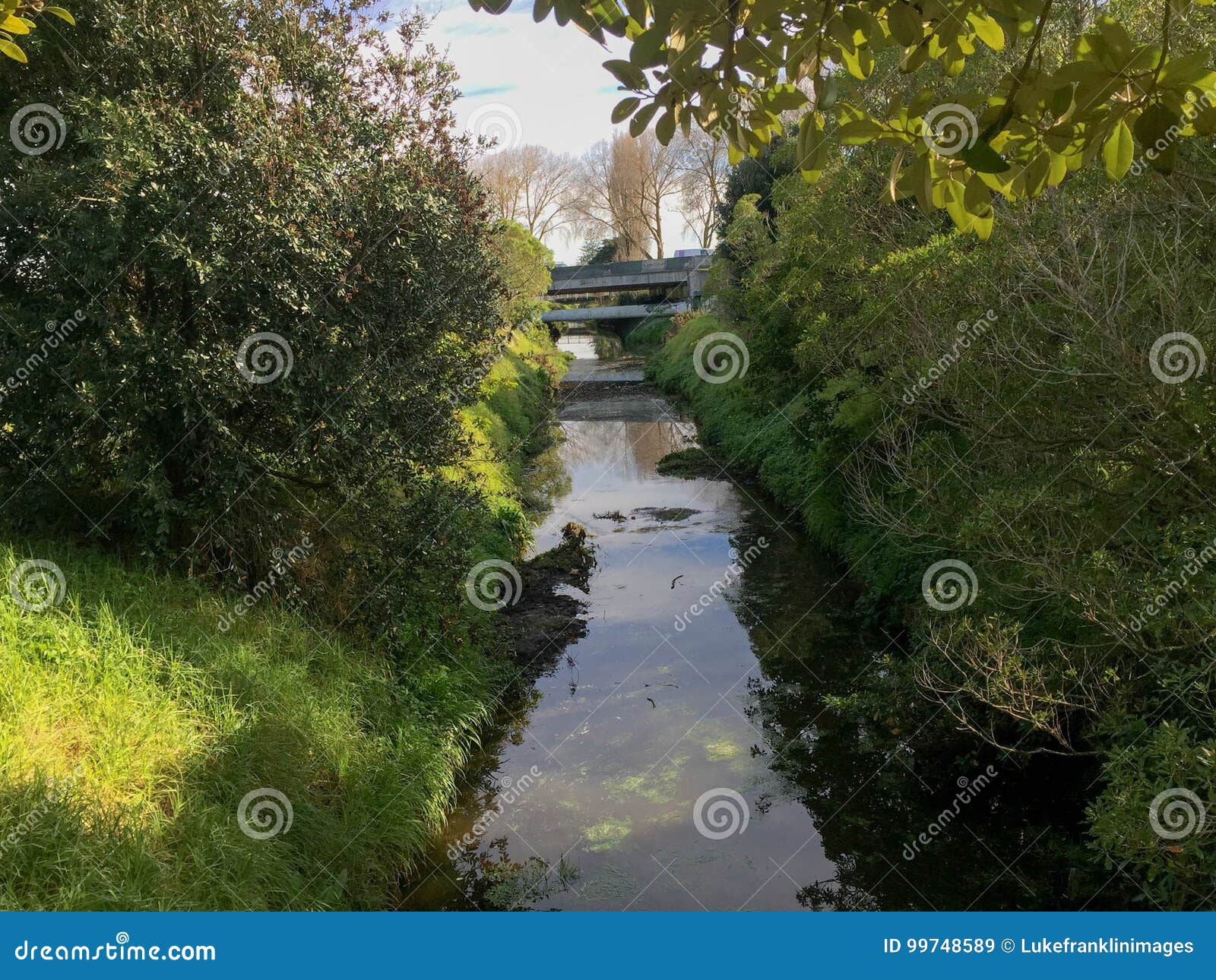 Landscape view of a gutter stock image. Image of nature - 99748589
