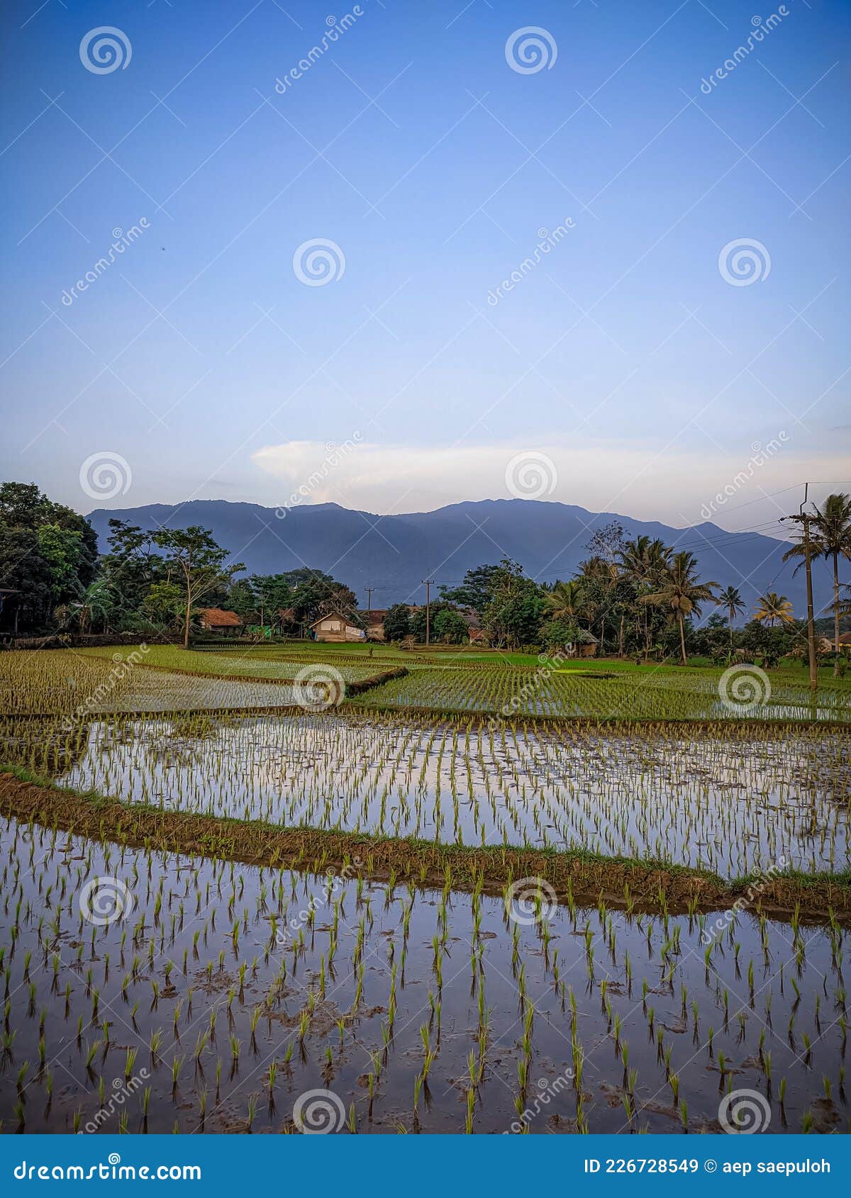 Landscape view hill stock image. Image of landscap, grass - 226728549