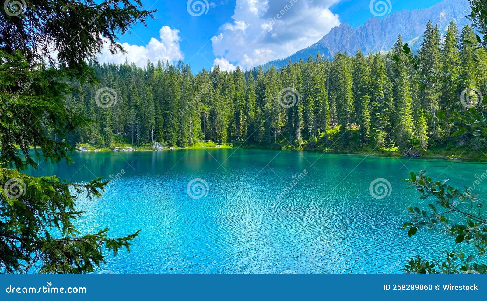 Landscape View of the Lake Surrounded by Trees Stock Photo - Image of ...