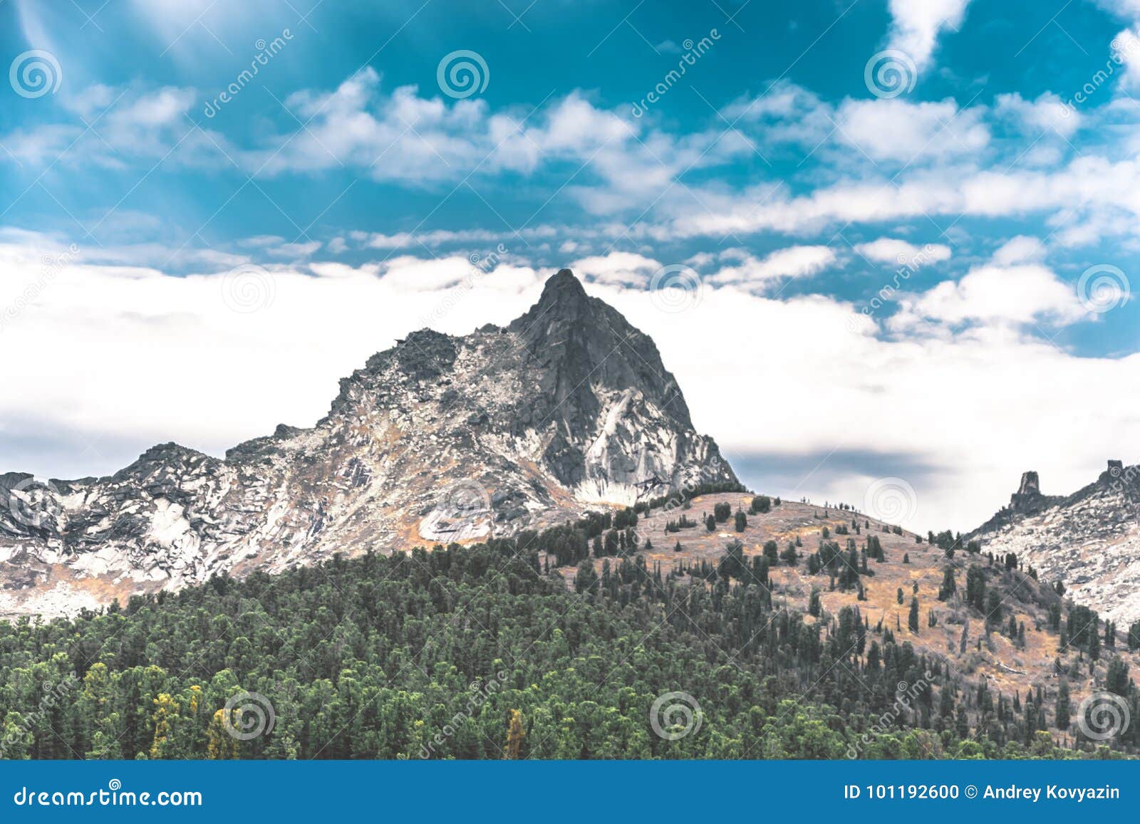 Landscape View with the Mountains and Woods Stock Photo - Image of tree ...