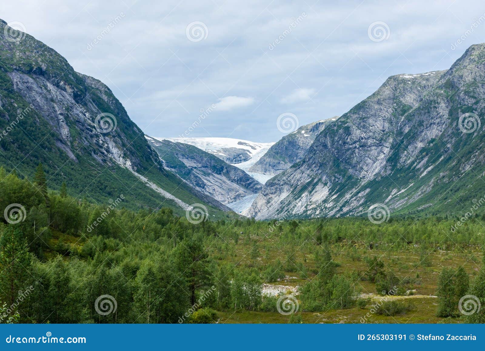 Landscape View of the Nigardsbreen Melting Glacier and the Forest in ...