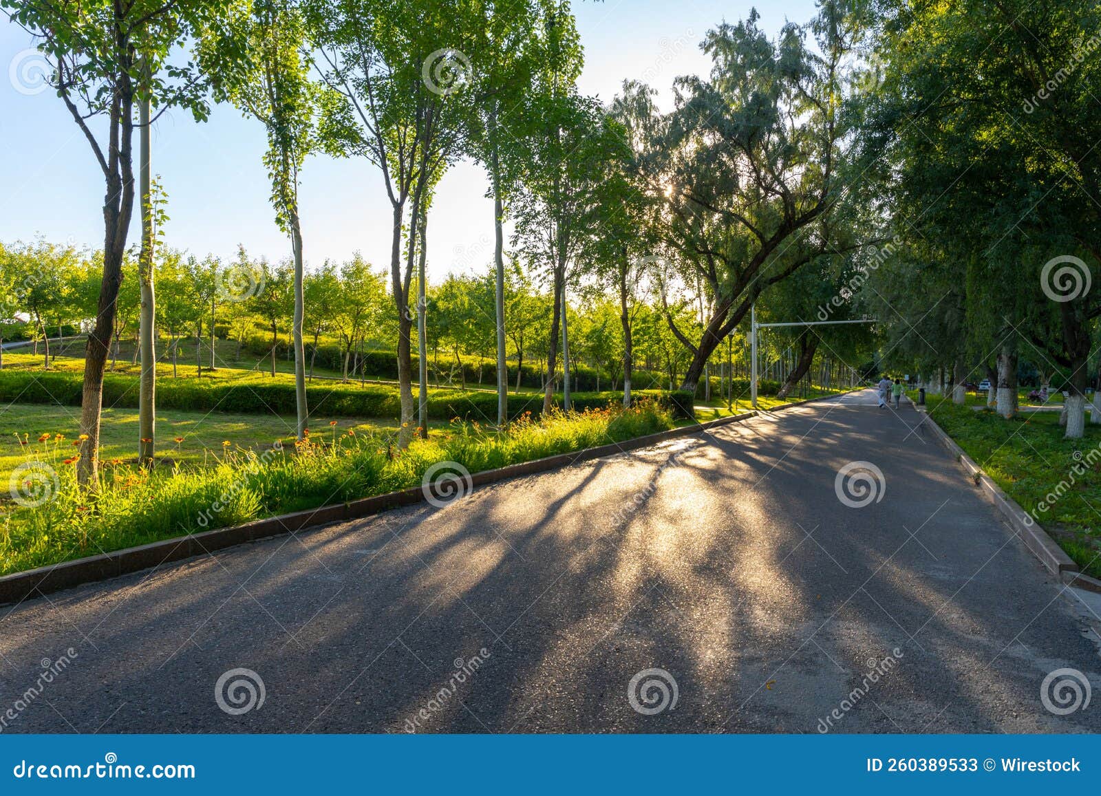 Landscape View of a Park on Sunny Day Stock Image - Image of wallpaper ...
