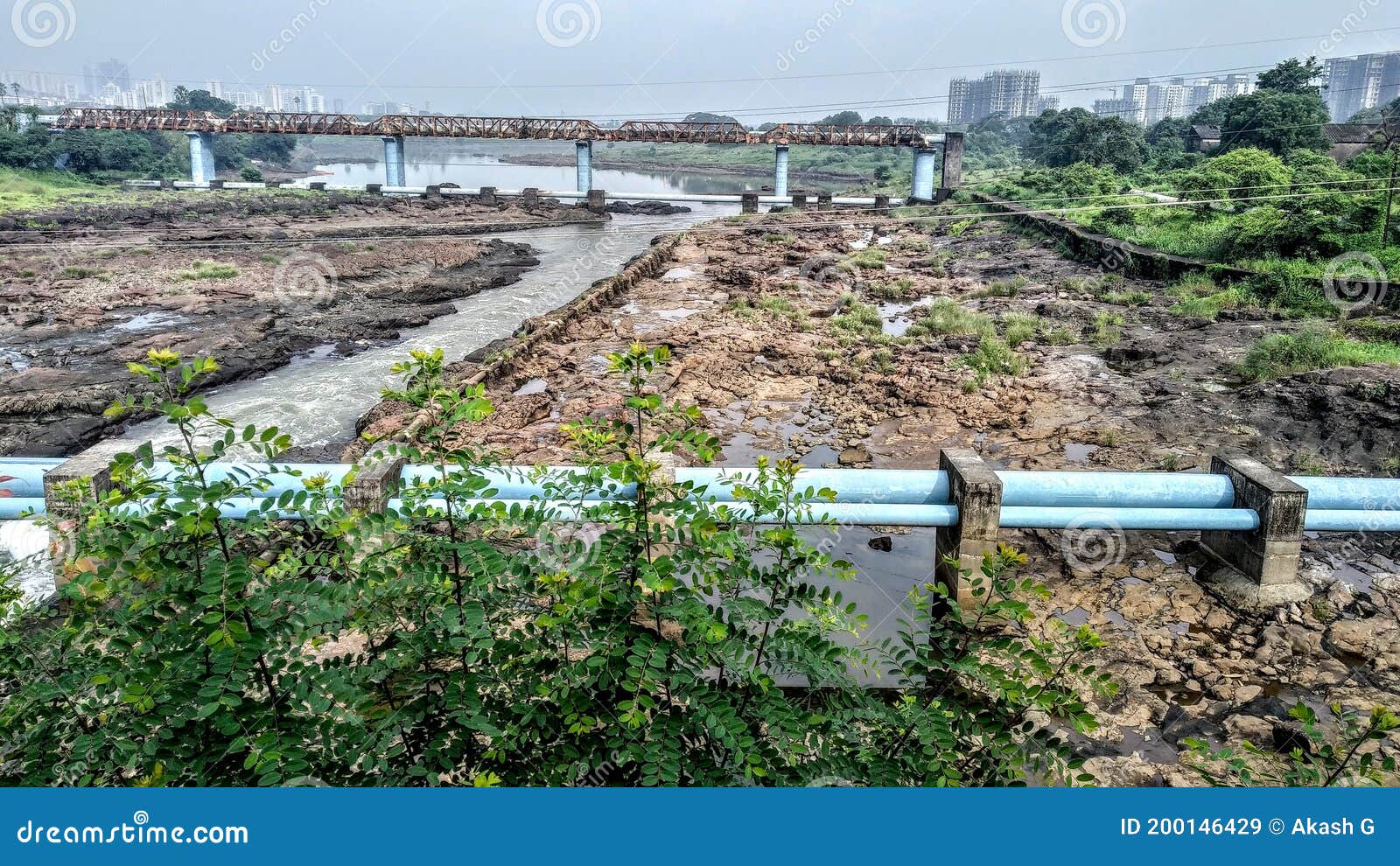 Landscape View of River and Bridge Stock Image - Image of plant ...