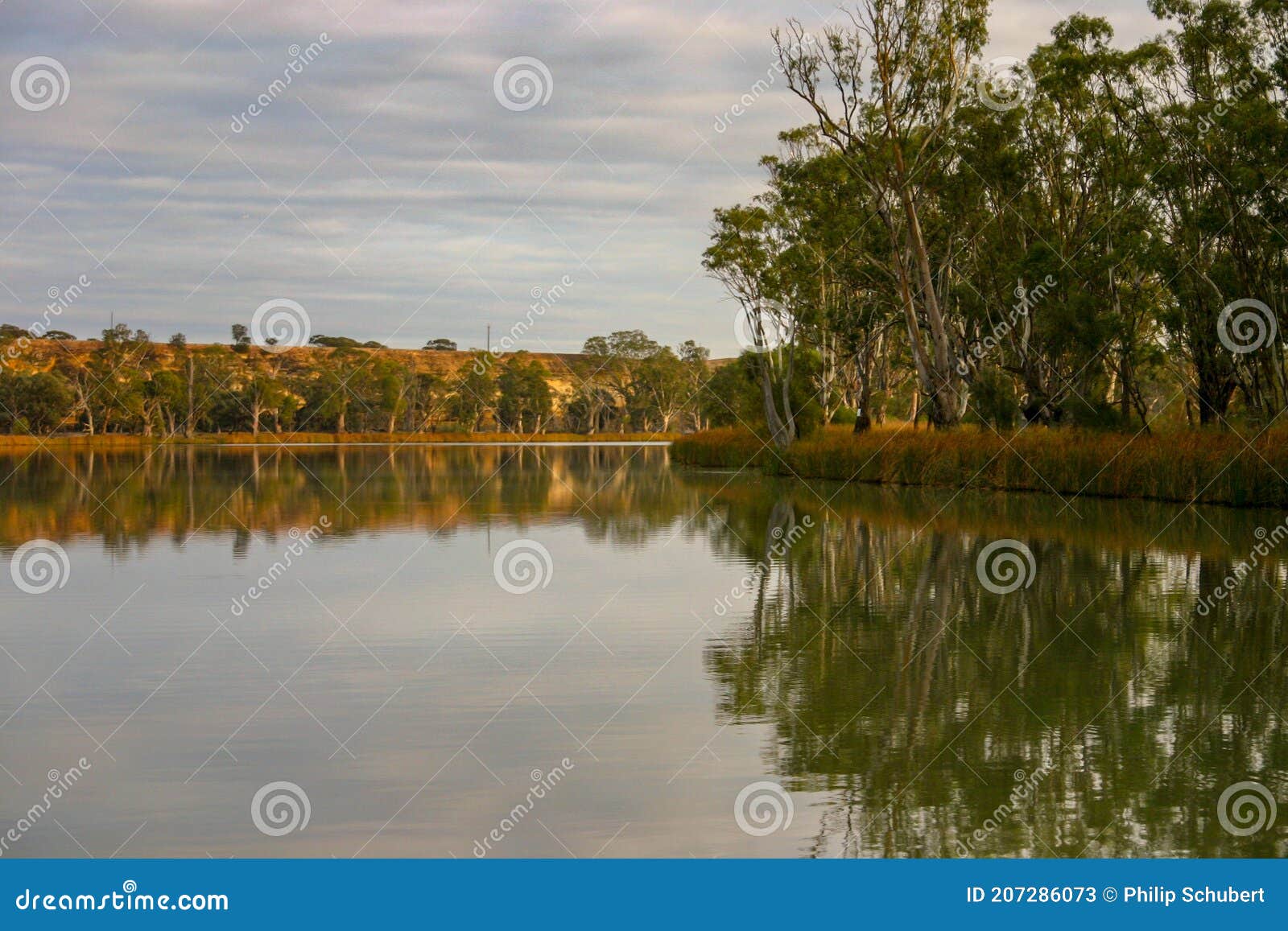 Landscape View of Sandstone Cliffs on the Banks of the Murray River in ...