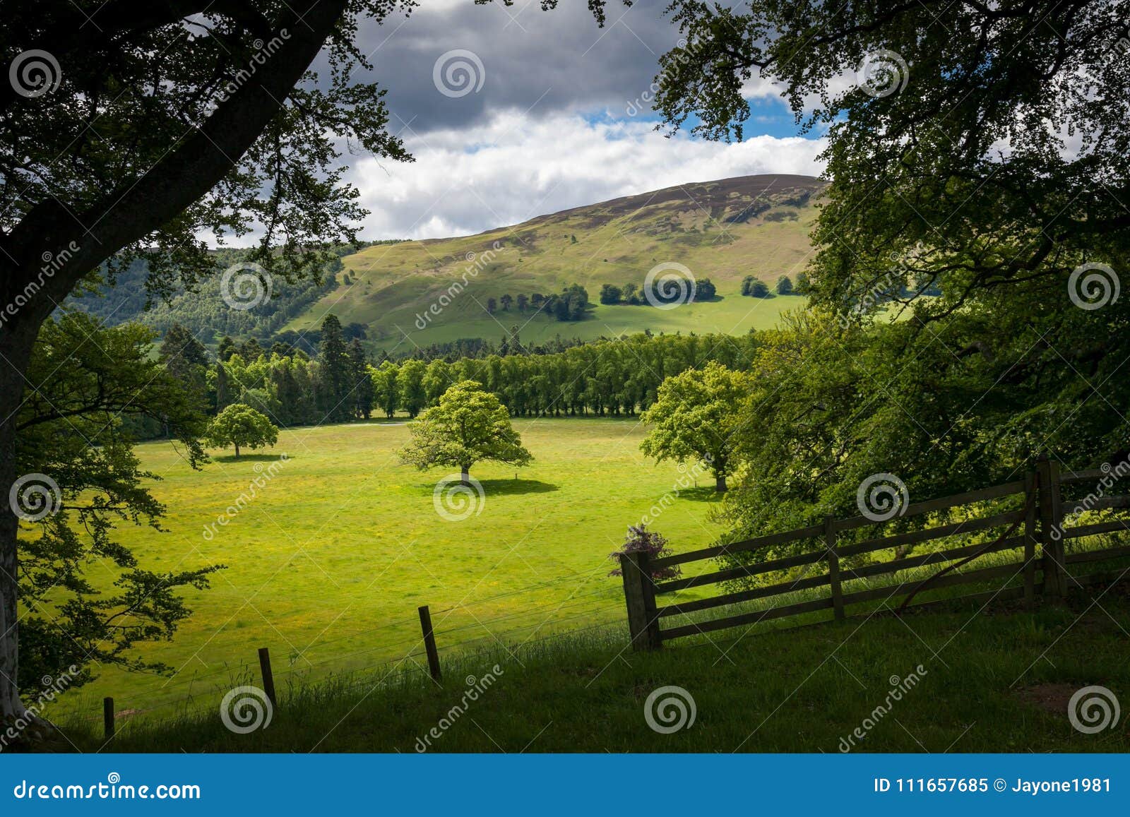 Scottish fields stock image. Image of heaven, green - 111657685