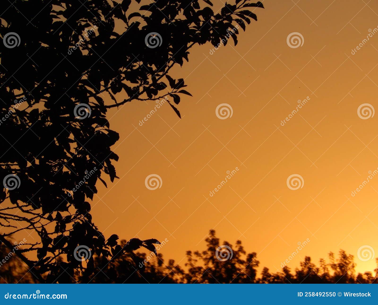 Landscape View of the Sunset Sky and a Tree Stock Photo - Image of ...