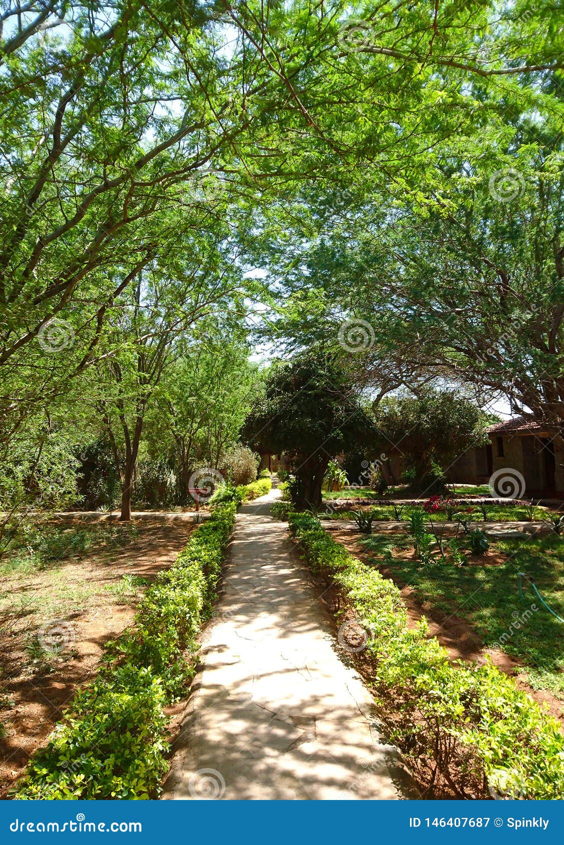 Landscape View of a Walkway Path through Nature Stock Image - Image of ...