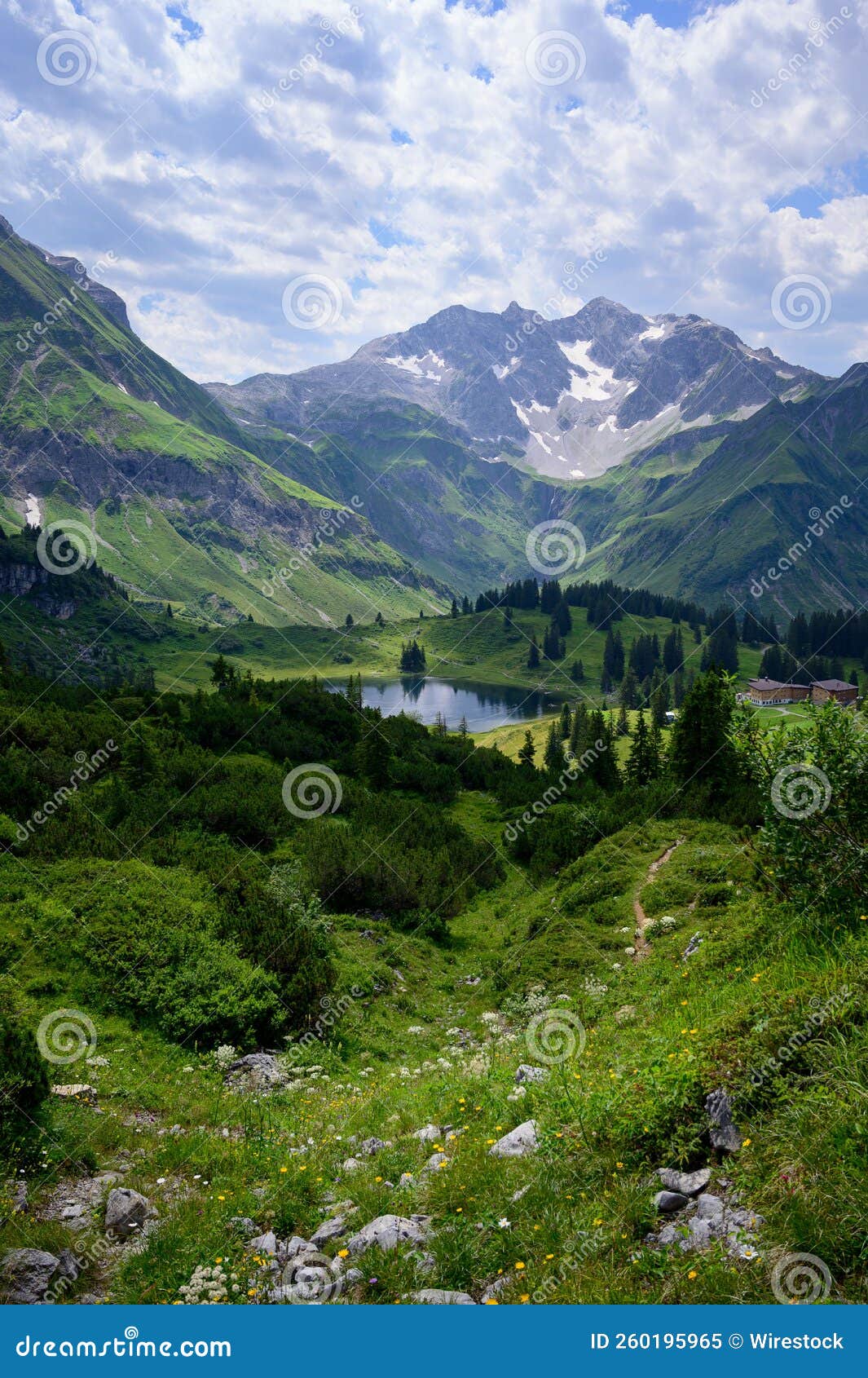 Landscape View with a Waterbody between the Trees and Mountains in the ...