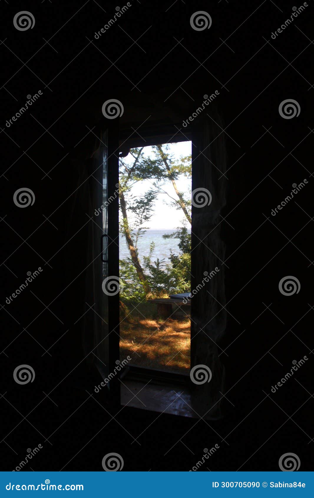 Landscape, View from the Window on Trees and Lake Stock Photo - Image ...