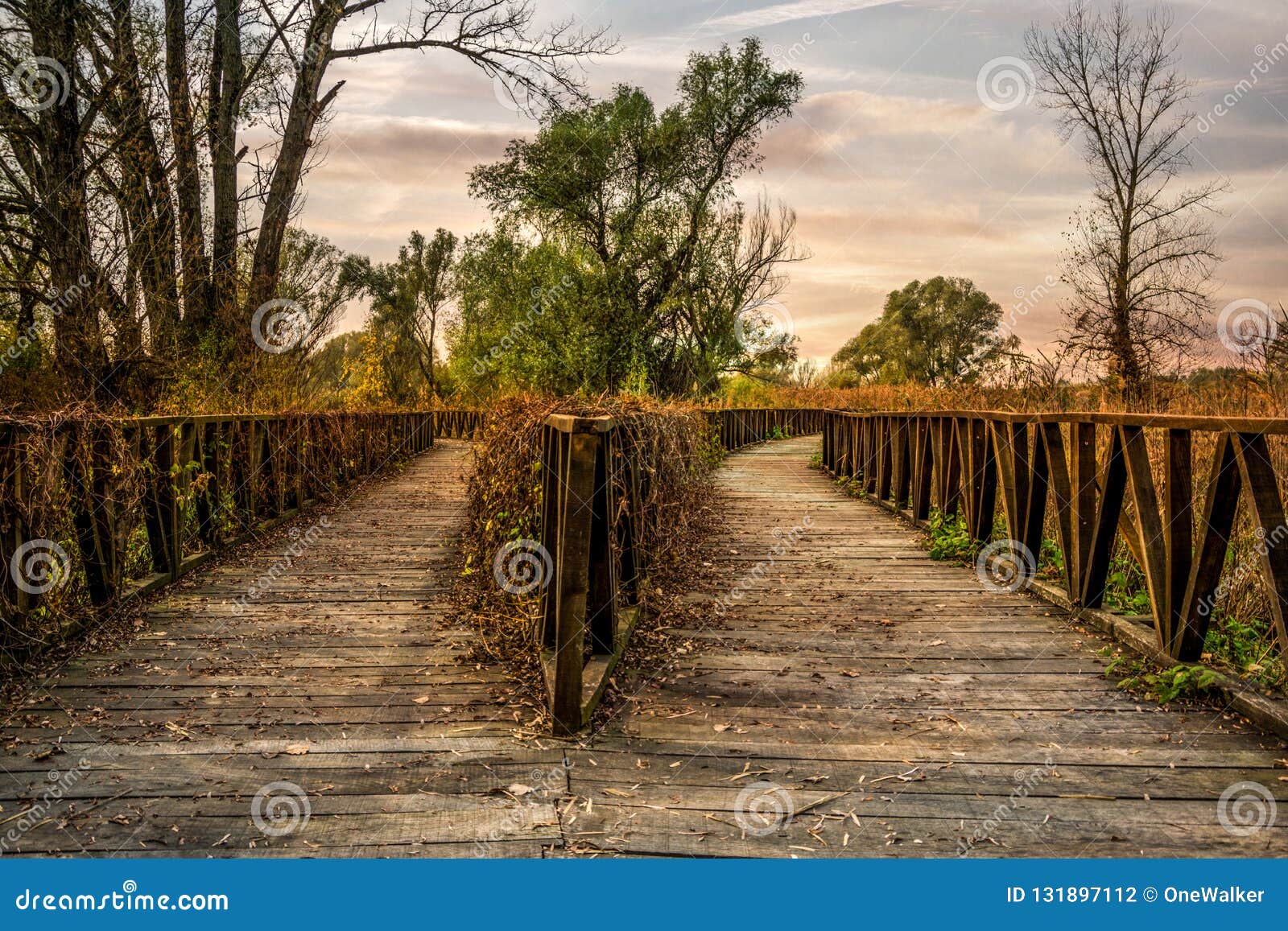 Landscape View of Wooden Path Splitting in Two Directions. Stock Photo ...