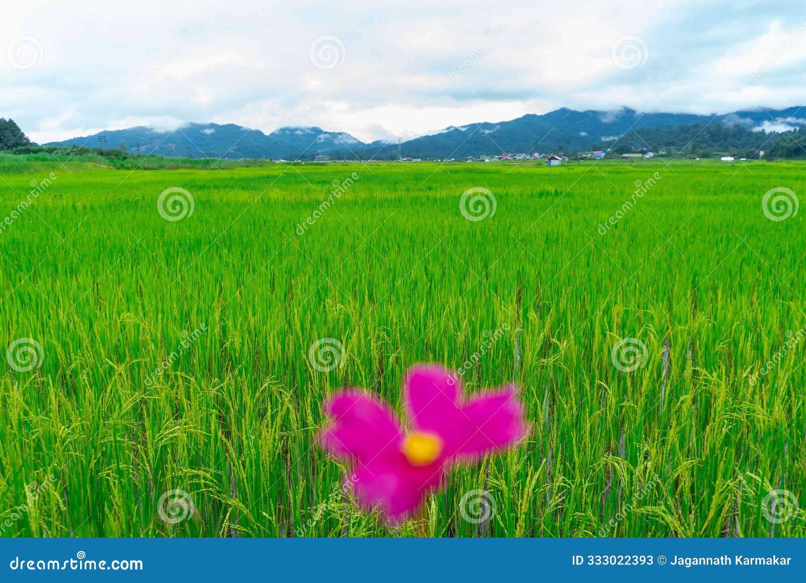 Landscape View of Zero Valley in Arunachal Pradesh India Stock Image ...