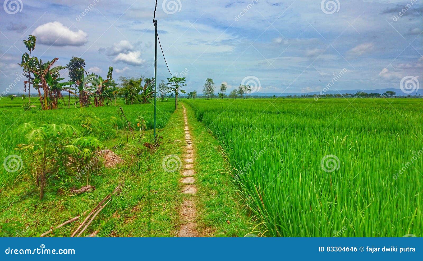 Landscape village at field stock photo. Image of beautiful - 83304646