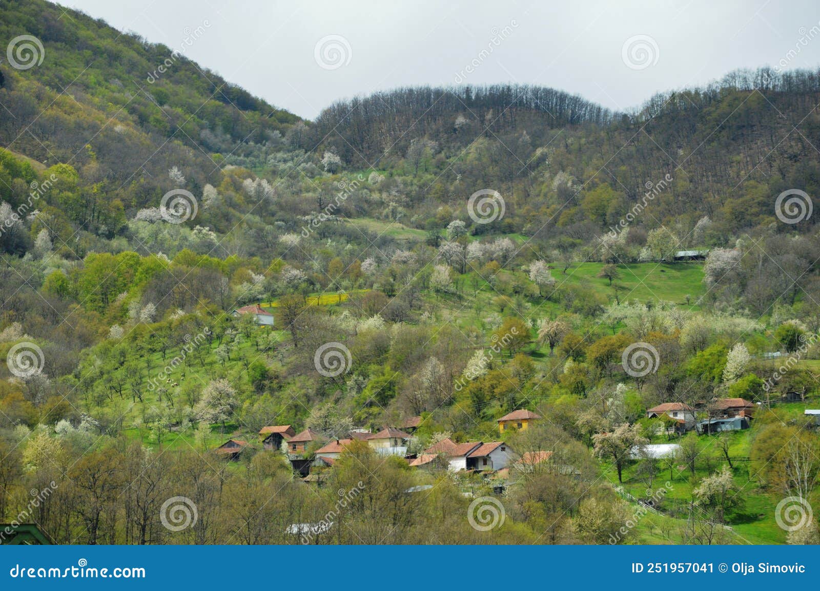 Landscape of the Village in Spring Stock Image - Image of village ...