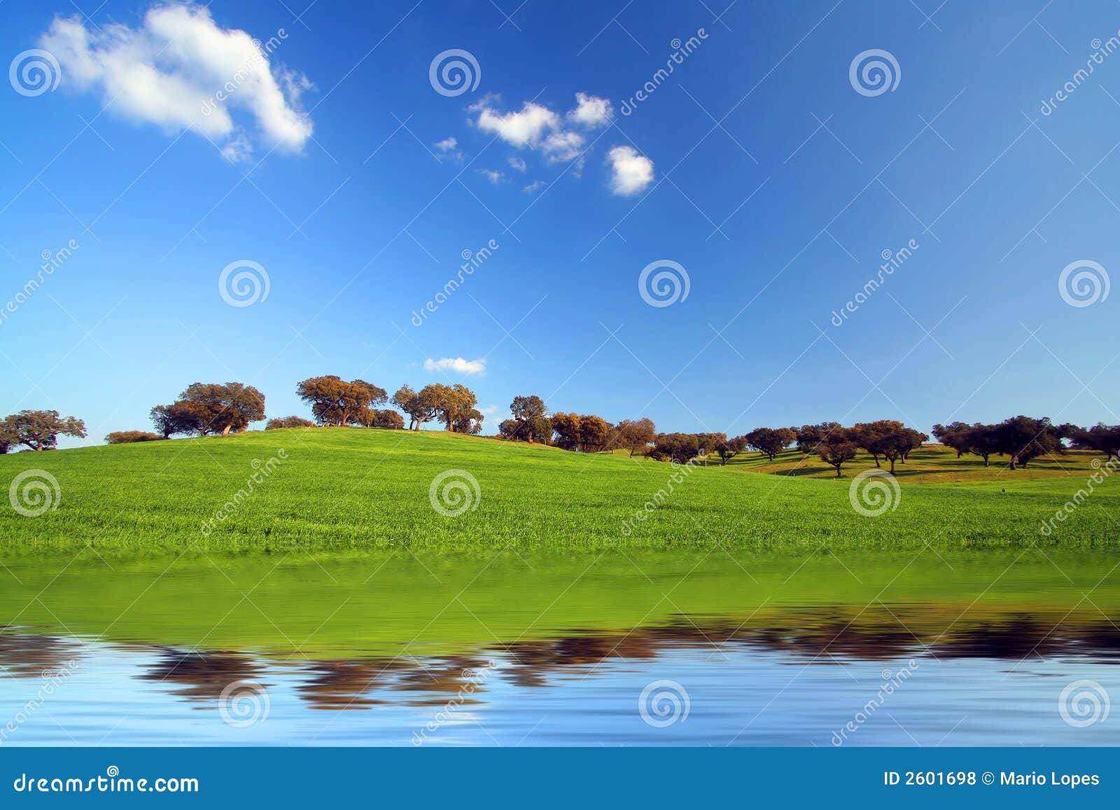 Landscape with Vivid Colors Stock Photo - Image of colors, quiet: 2601698