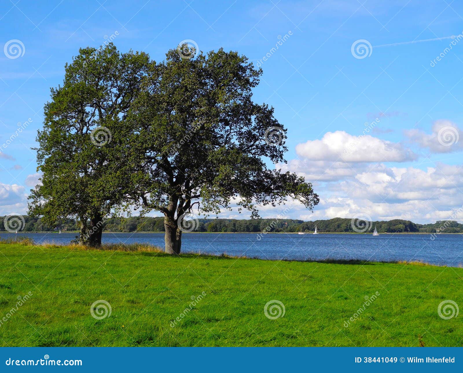 Landscape, Water, Boats and Trees Stock Image - Image of germany ...