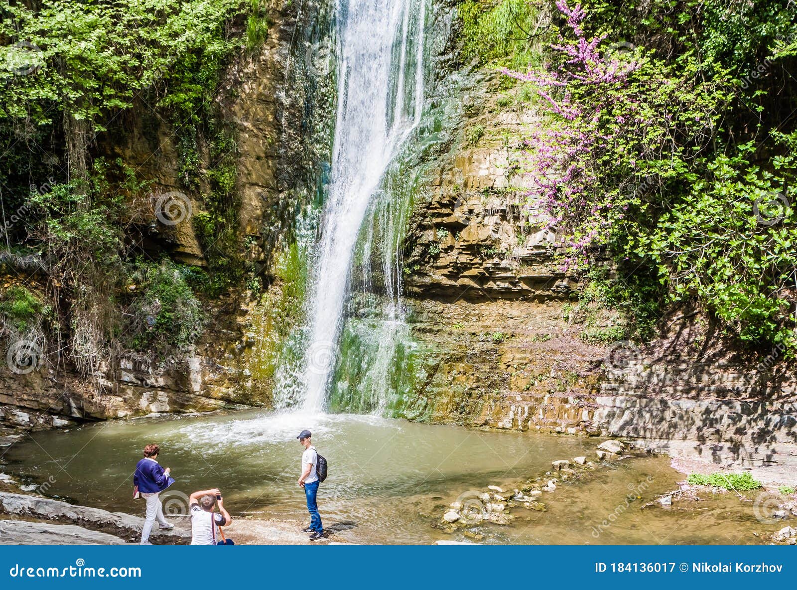 Landscape of Waterfall in Botanical Garden of Tbilisi Editorial ...